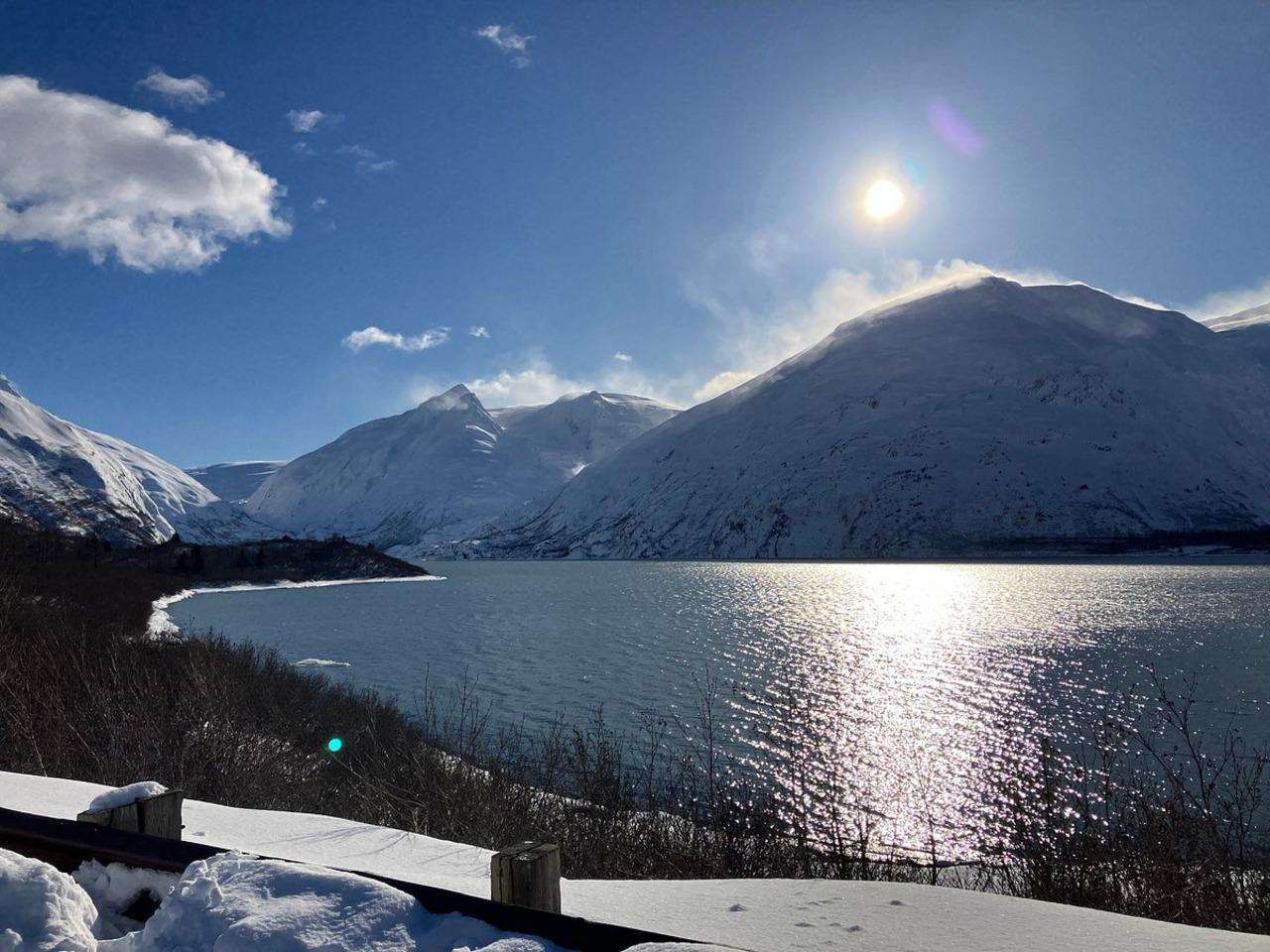 From Anchorage: Alaska Wildlife Center & Turnagain Arm Tour | GetYourGuide