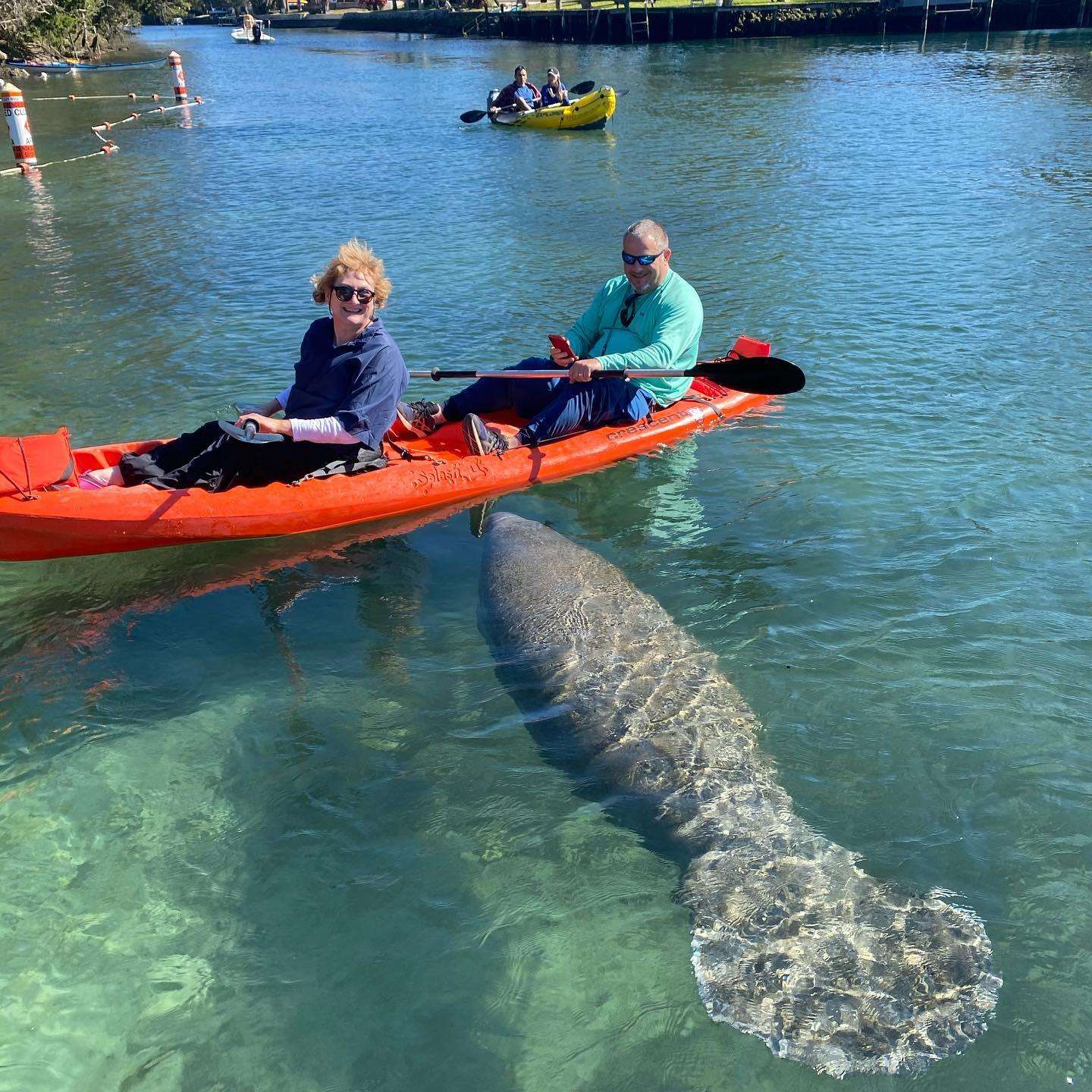 Crystal River: Kayak Rental | GetYourGuide