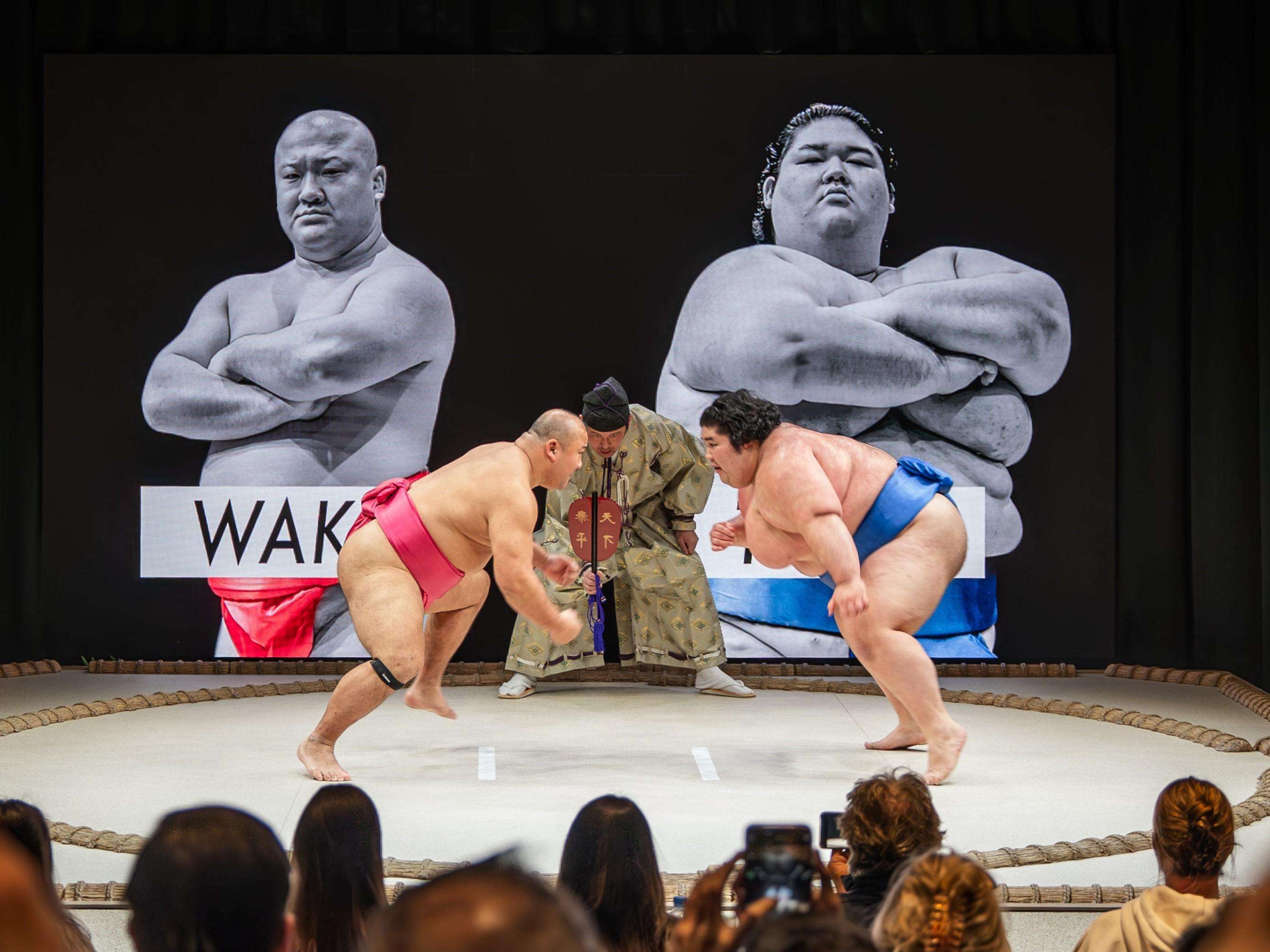 Osaka: Sumo Stage Show with Bento & Fight + Photo Shooting | GetYourGuide