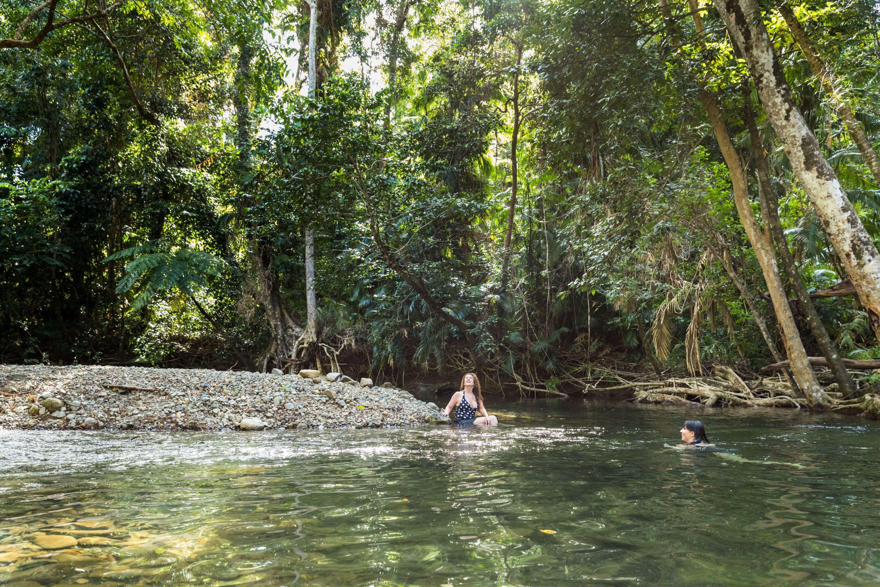 From Cairns: Daintree Rainforest & Cape Tribulation 4WD Tour | GetYourGuide