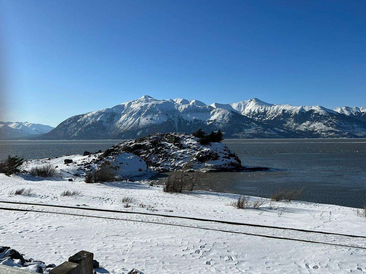 From Anchorage: Alaska Wildlife Center & Turnagain Arm Tour | GetYourGuide