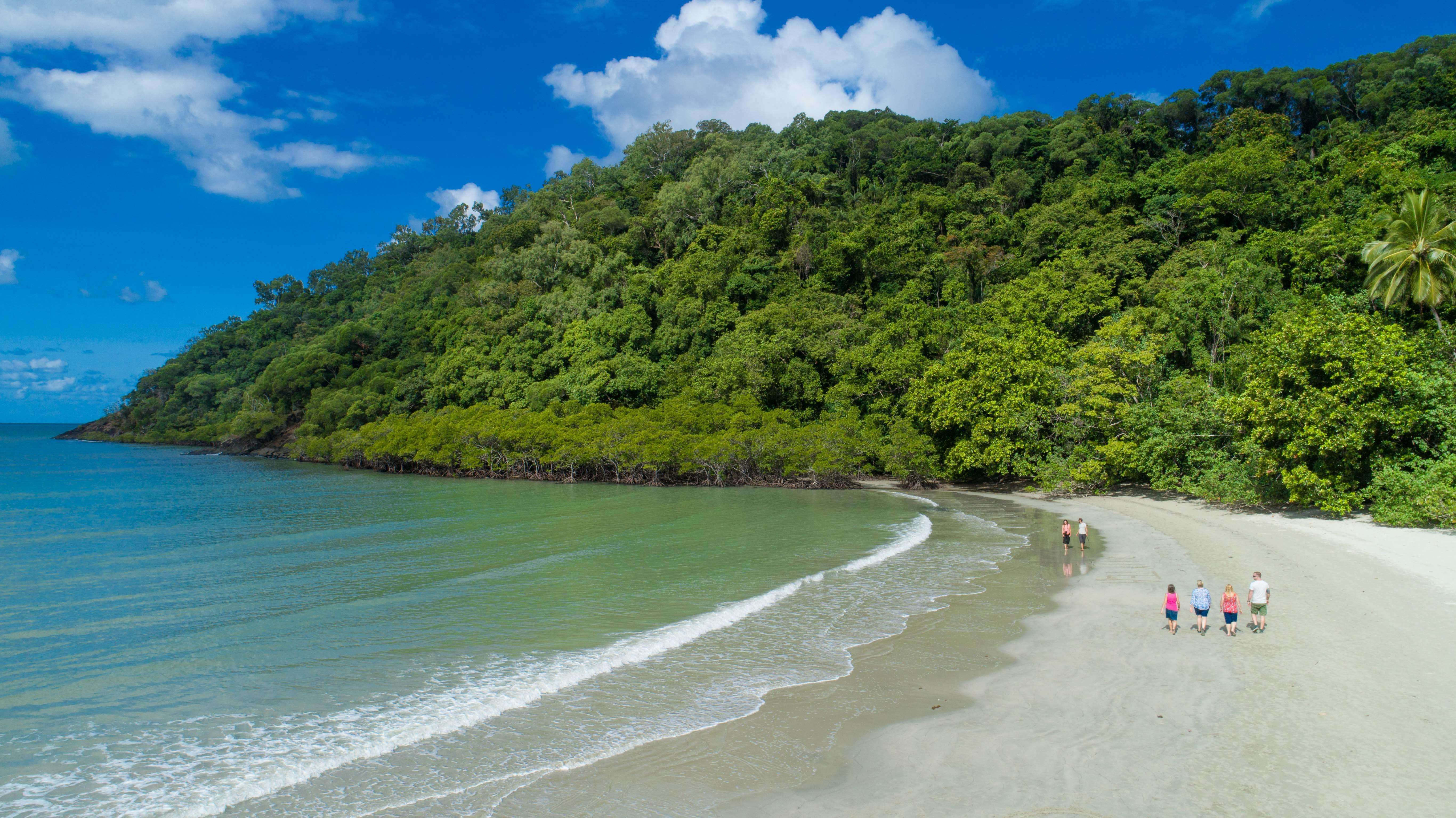 From Cairns: Daintree Rainforest & Cape Tribulation 4WD Tour | GetYourGuide