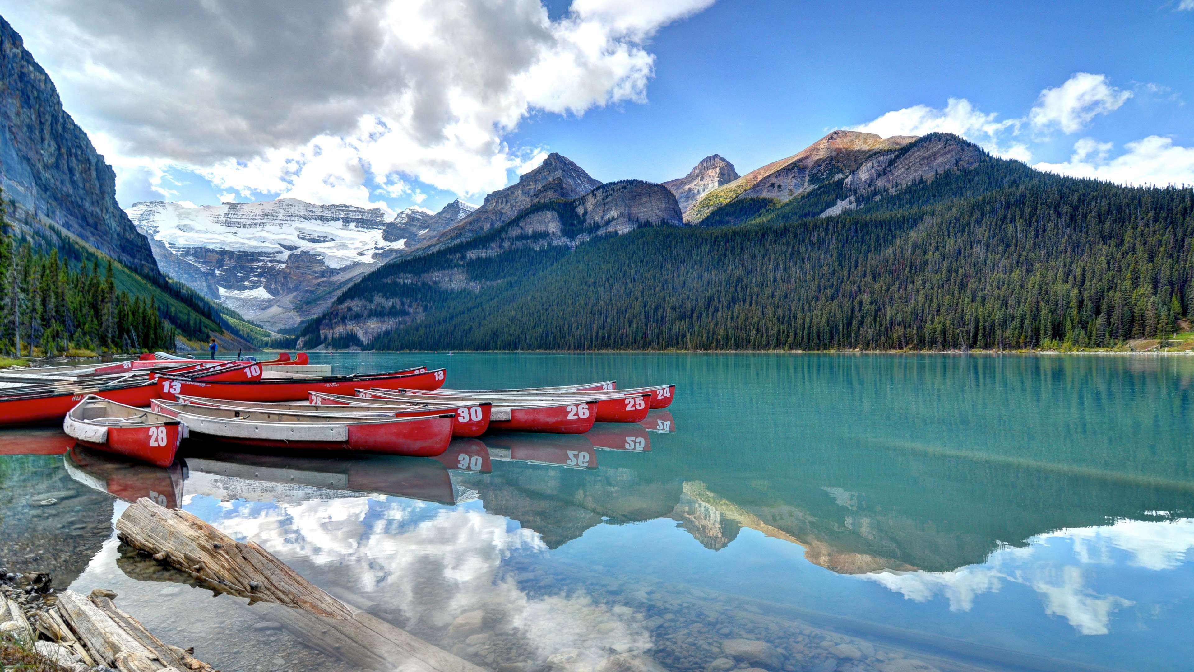 Banff National Park: Hop-On-Hop-Off Bus Day-Pass | GetYourGuide