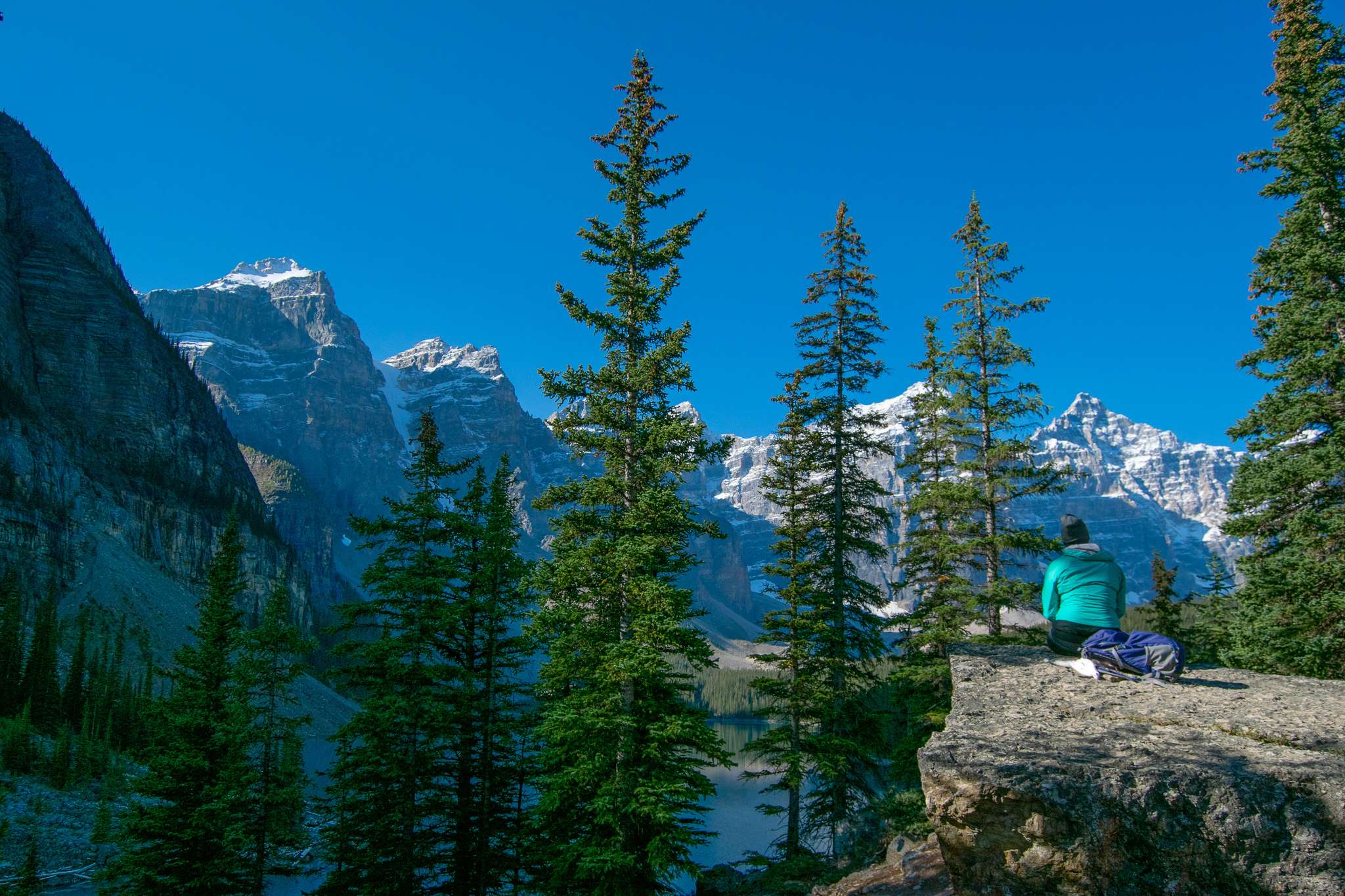 Banff National Park: Hop-On-Hop-Off Bus Day-Pass | GetYourGuide