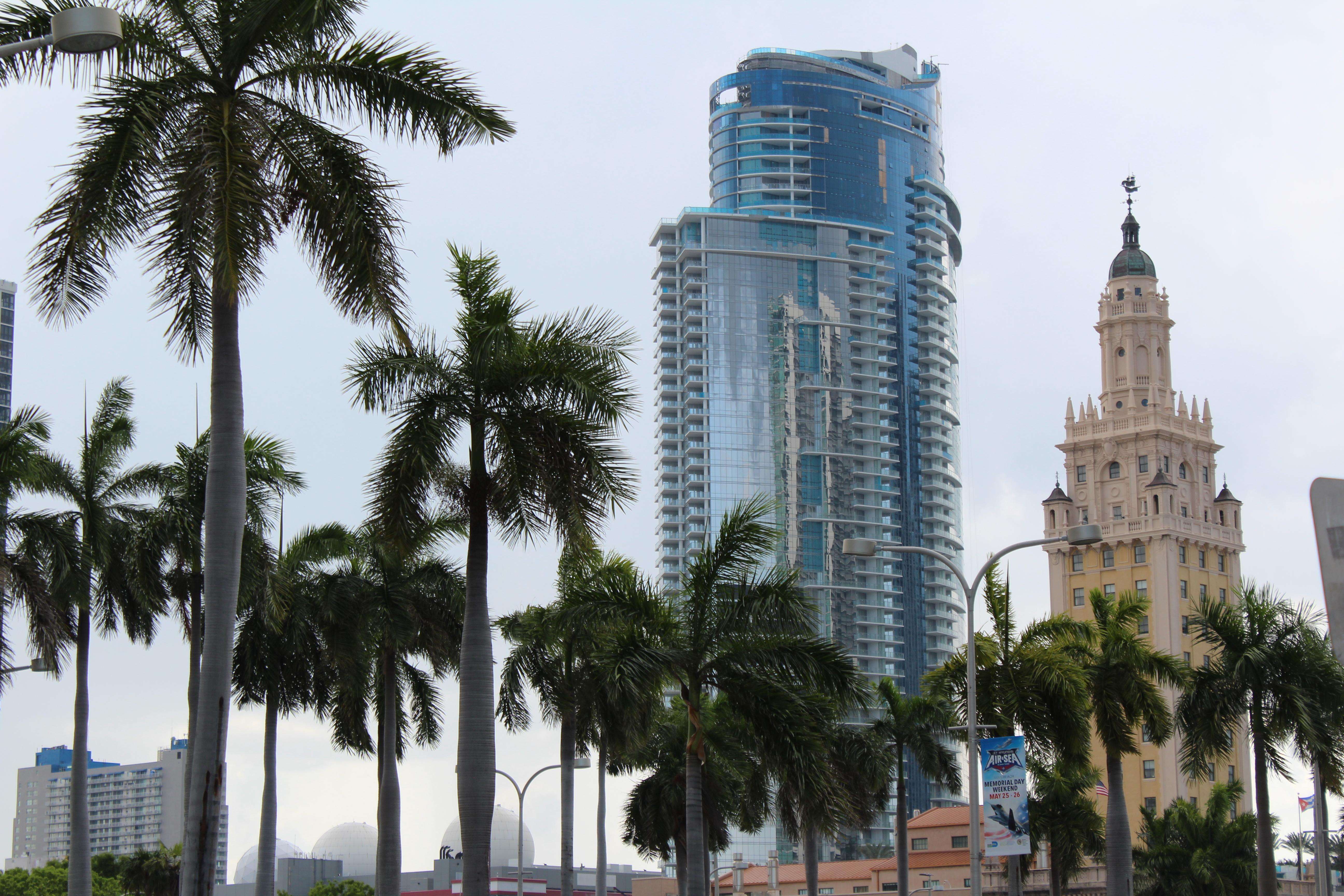 Miami: City Bus Tour with Downtown or Miami Beach Pickup | GetYourGuide