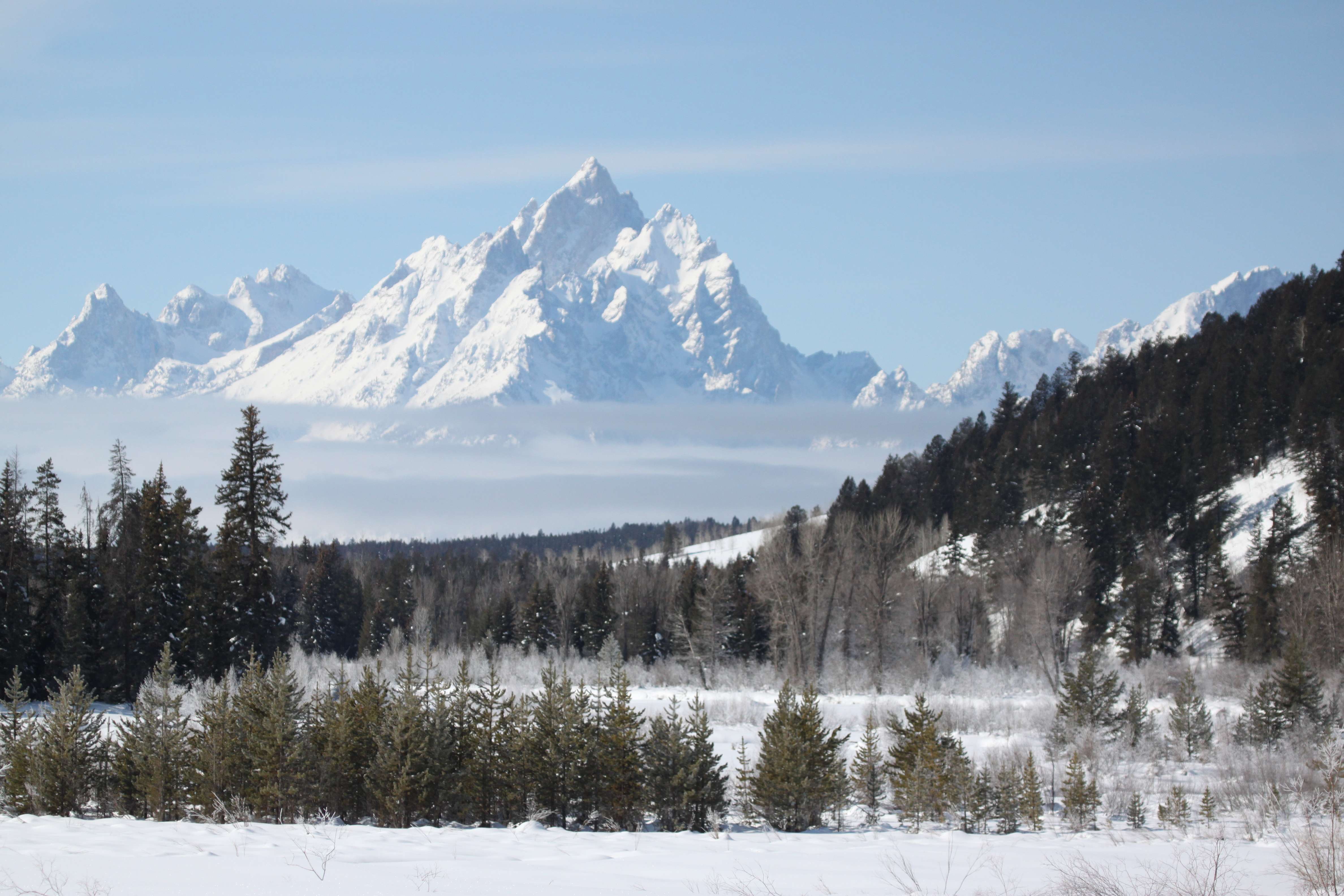 Jackson: Grand Teton and National Elk Refuge Winter Day Trip | GetYourGuide