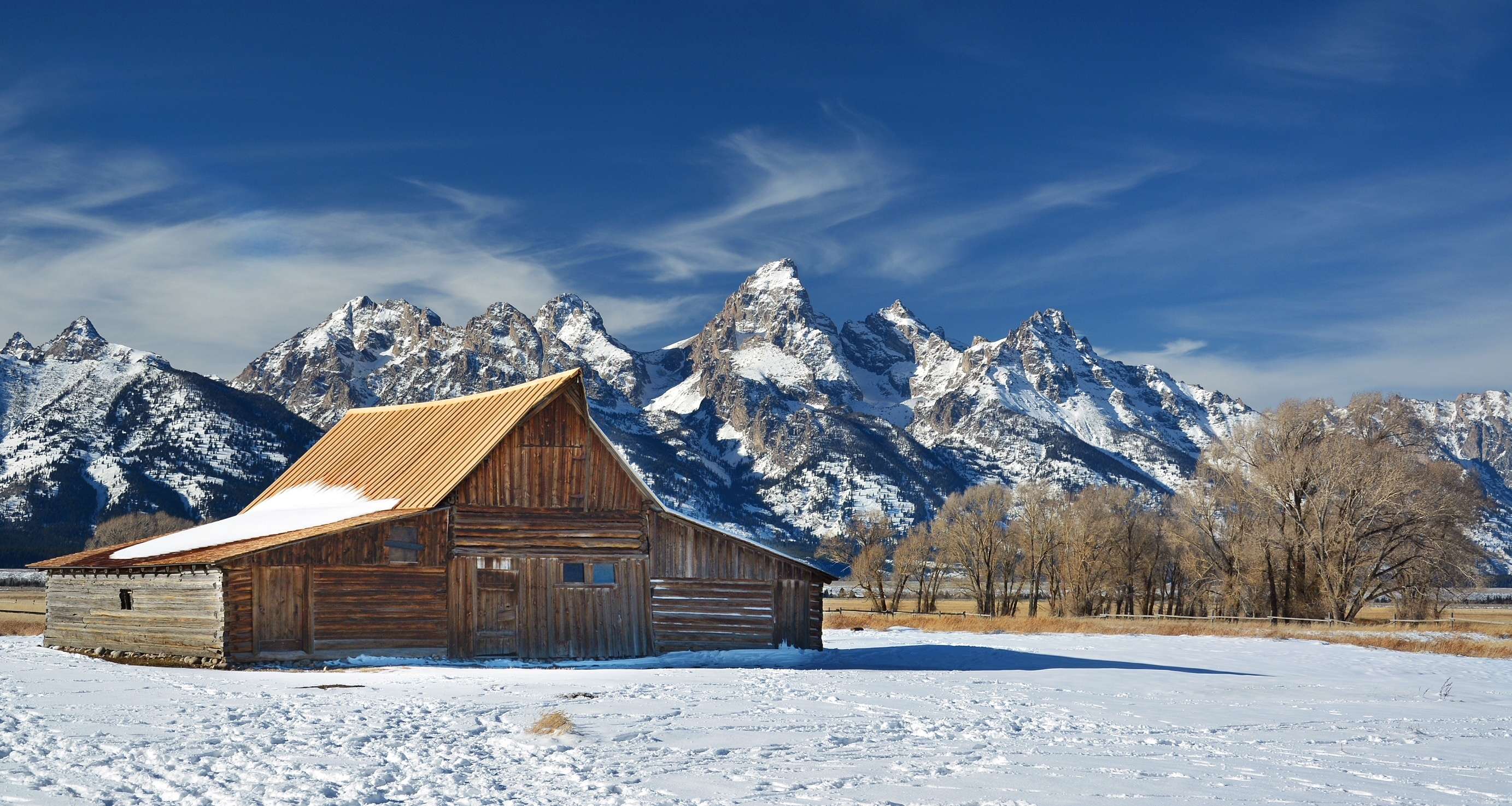 Jackson: Grand Teton and National Elk Refuge Winter Day Trip | GetYourGuide