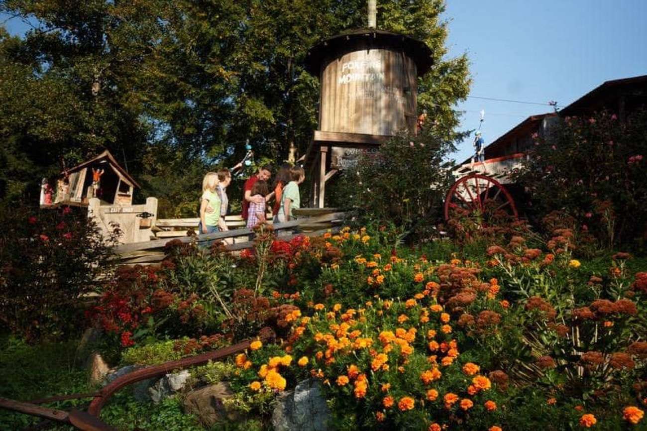 Foxfire Mountain: Hiking & Swinging Bridge Family Adventure | GetYourGuide