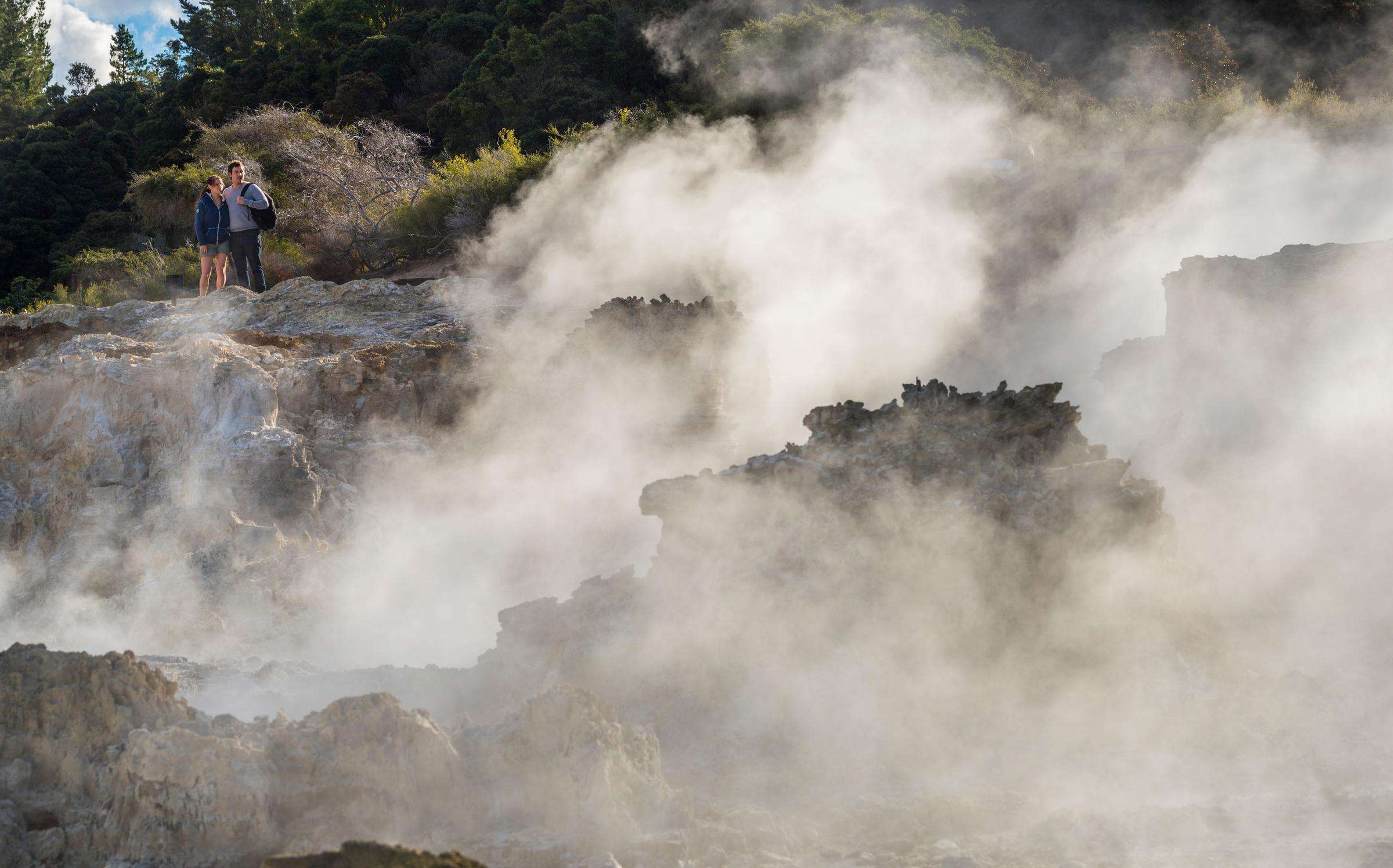Rotorua: Hell's Gate Geothermal Walk | GetYourGuide