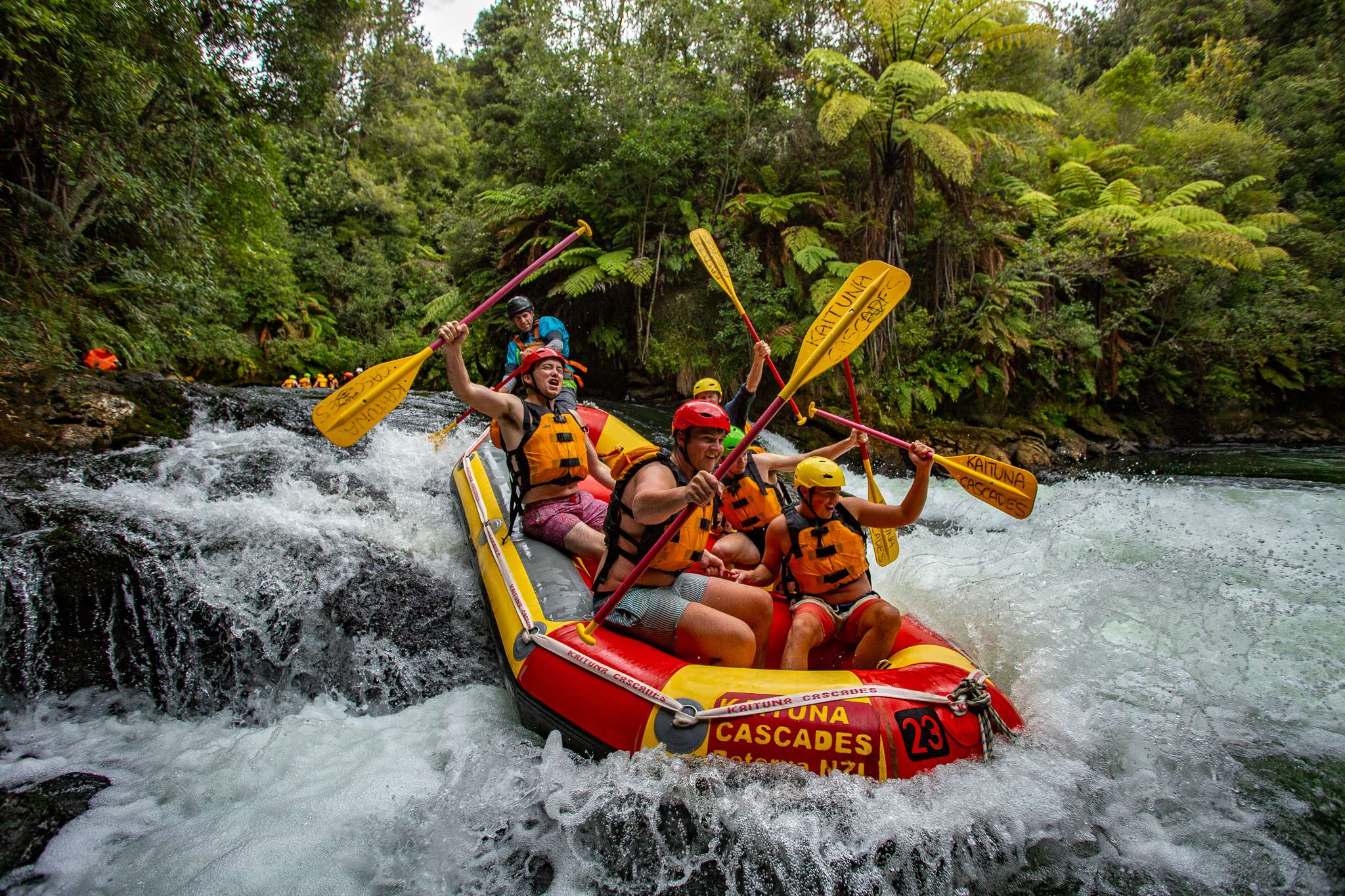 Kaituna River and Tutea Falls Whitewater Rafting | GetYourGuide