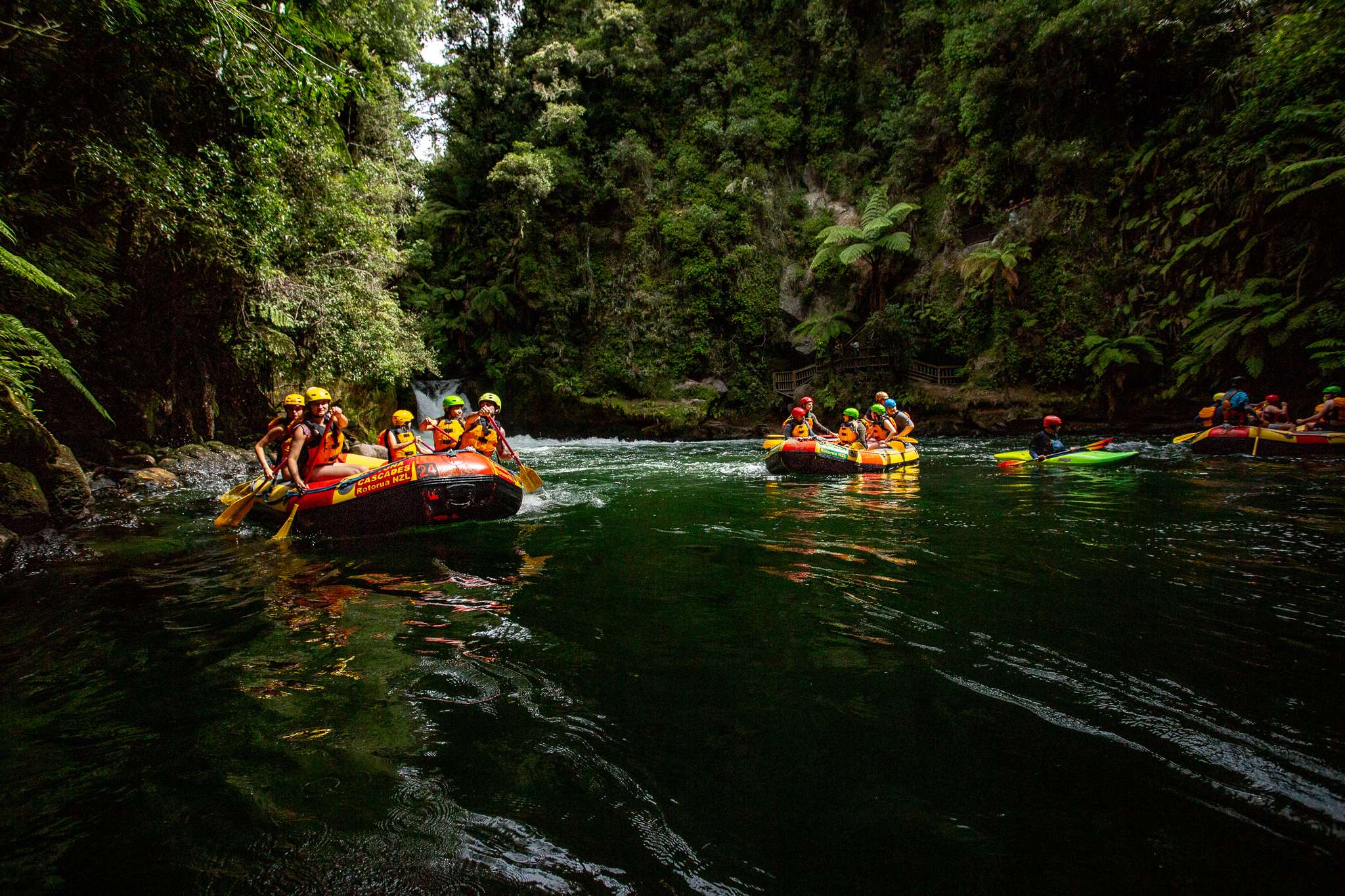 Kaituna River and Tutea Falls Whitewater Rafting | GetYourGuide