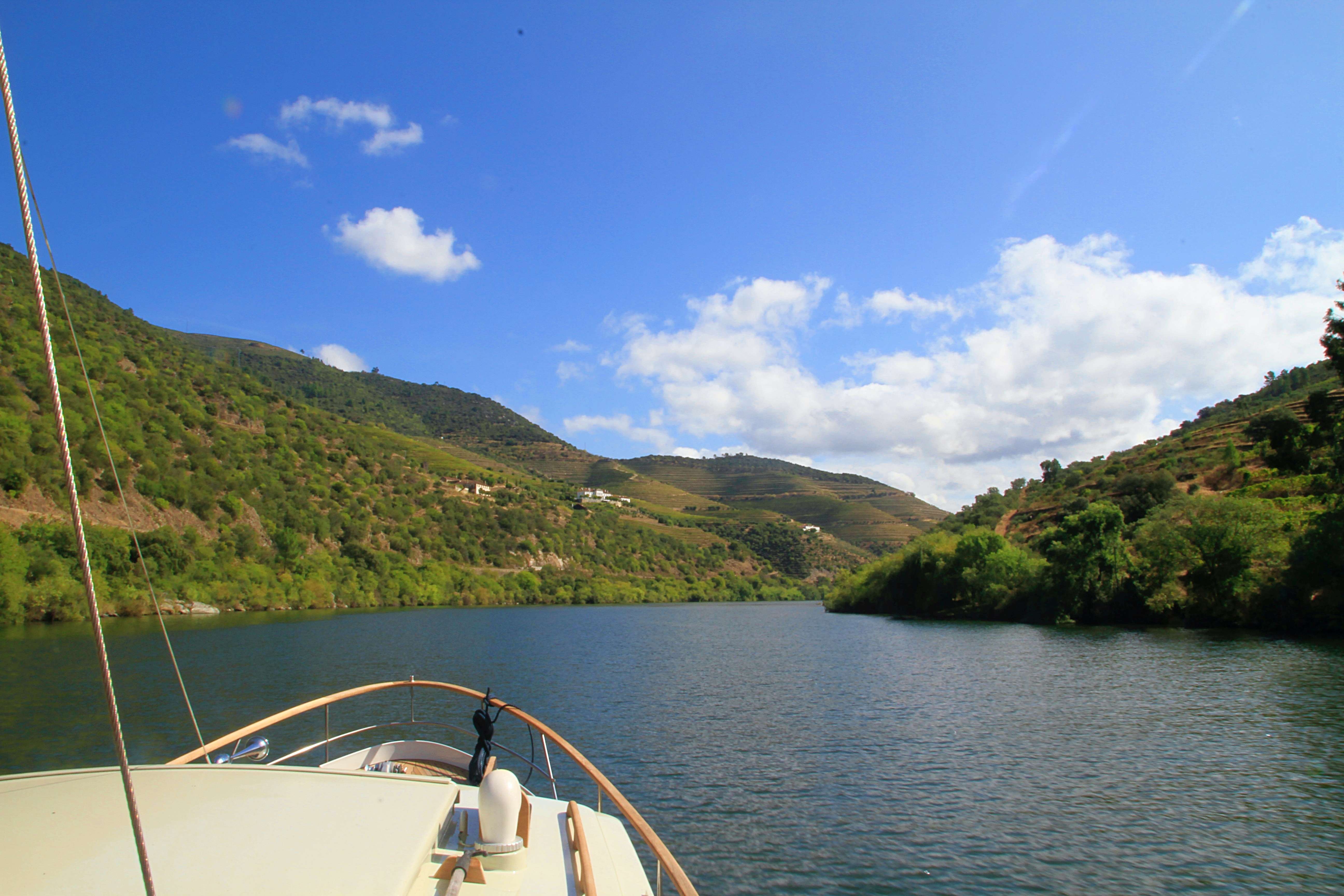 From Pinhão: Private Yacht Cruise along the Douro River | GetYourGuide