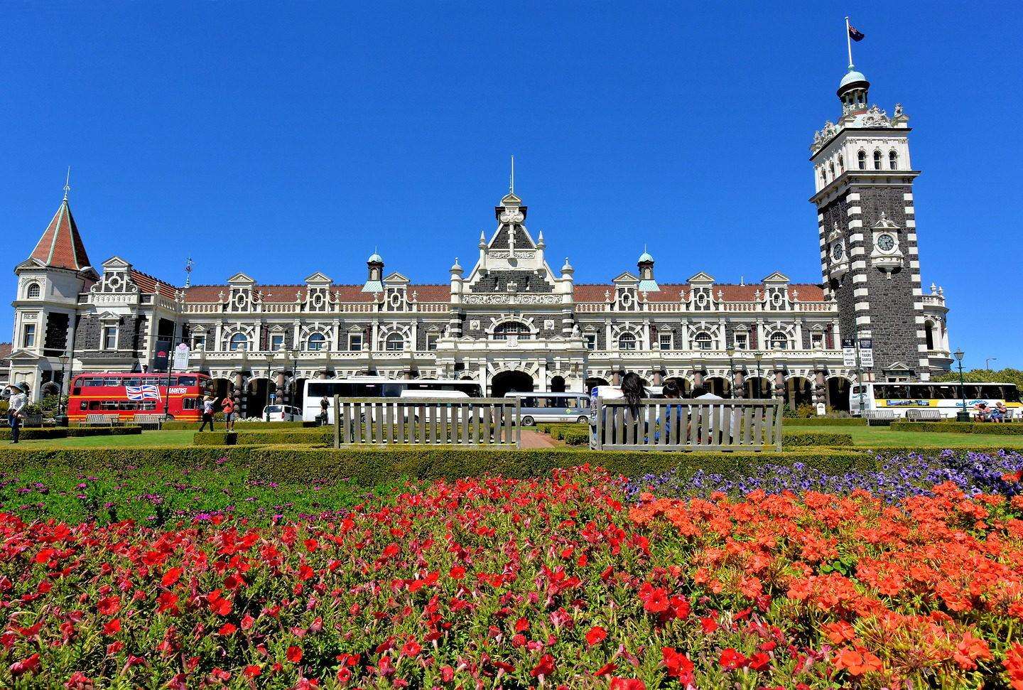 Dunedin City & Otago Peninsula Scenery Day Tour | GetYourGuide