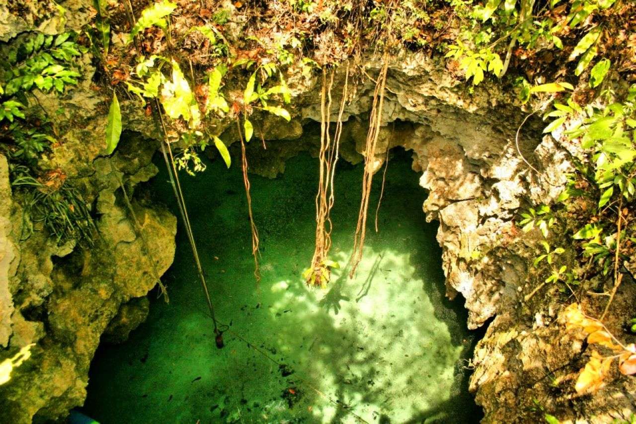 From Riviera Maya: Snorkeling & Private Cenote Half-Day Tour | GetYourGuide