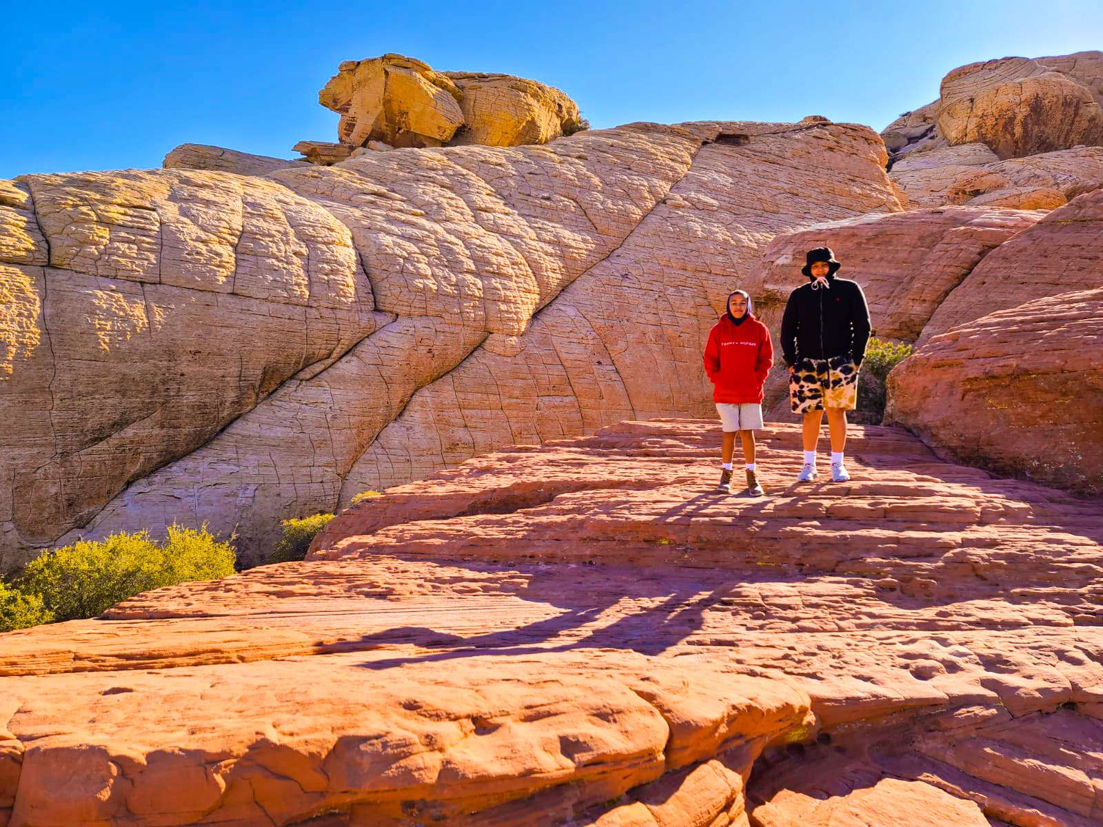 Las Vegas: Mojave, Red Rock Sign and 7 Magic Mountains Tour | GetYourGuide