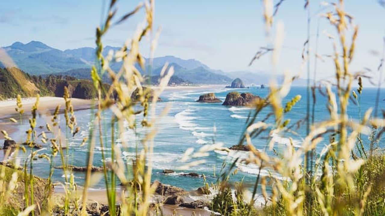 From Portland: Oregon Coast Tour | GetYourGuide