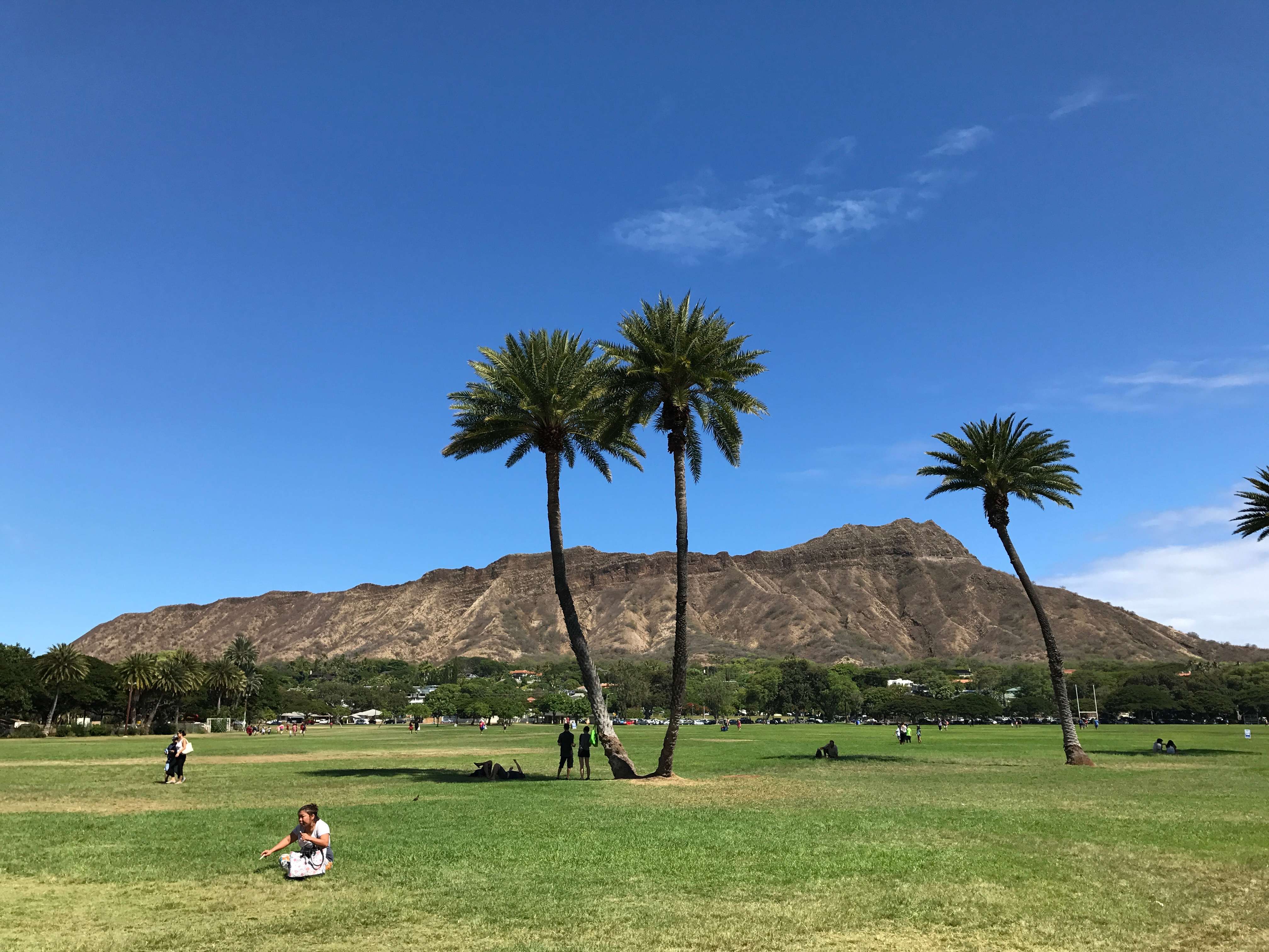 Oahu: Diamond Head Sunrise Hike with Acai Bowl and Malasada | GetYourGuide