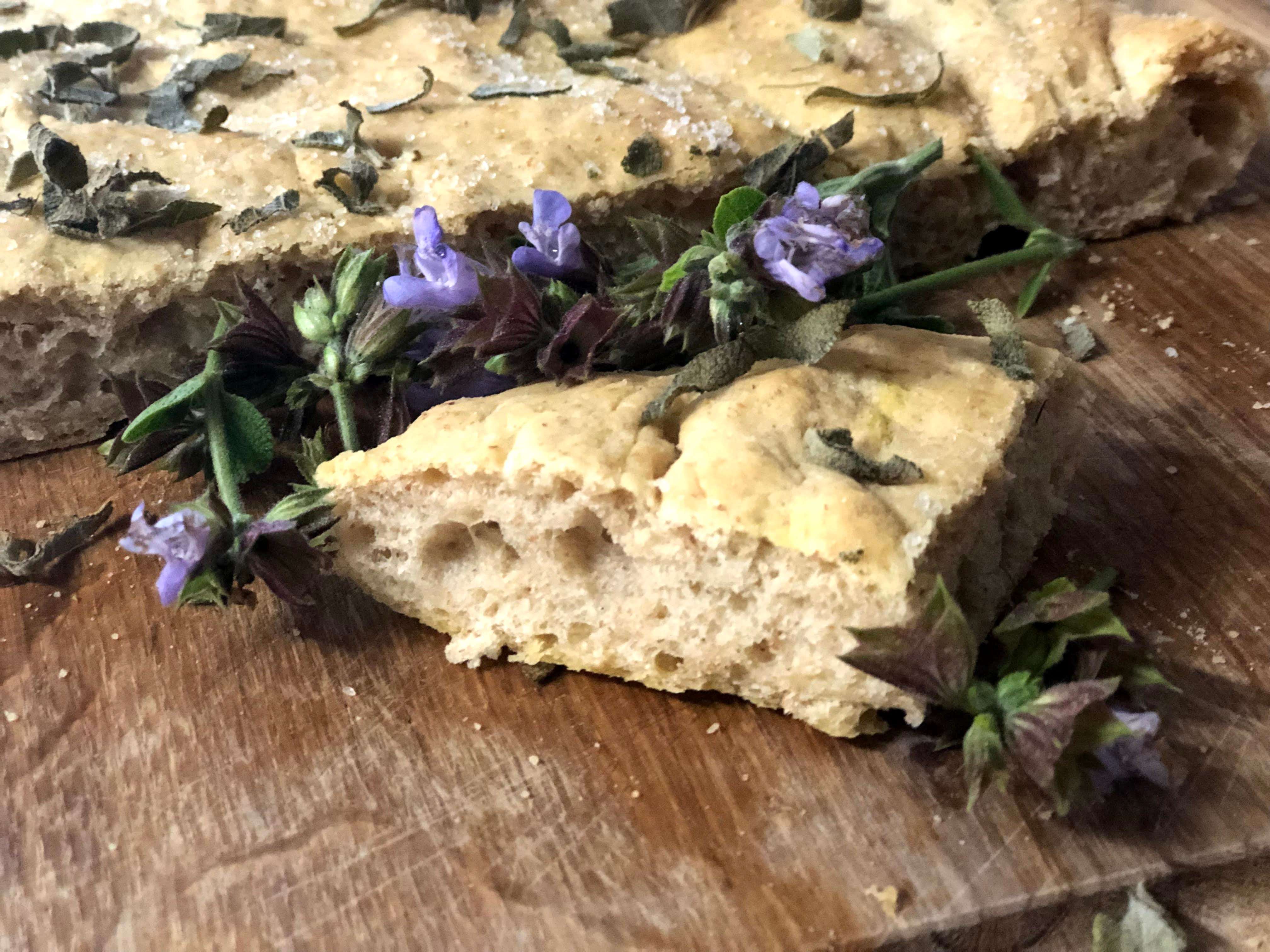 Cortona: Pasta and Pizza Cooking Class | GetYourGuide