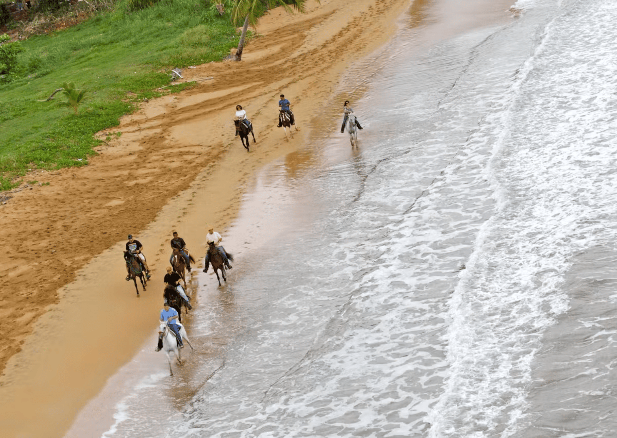 Carabalí Rainforest Park: Beach Horseback Riding | GetYourGuide
