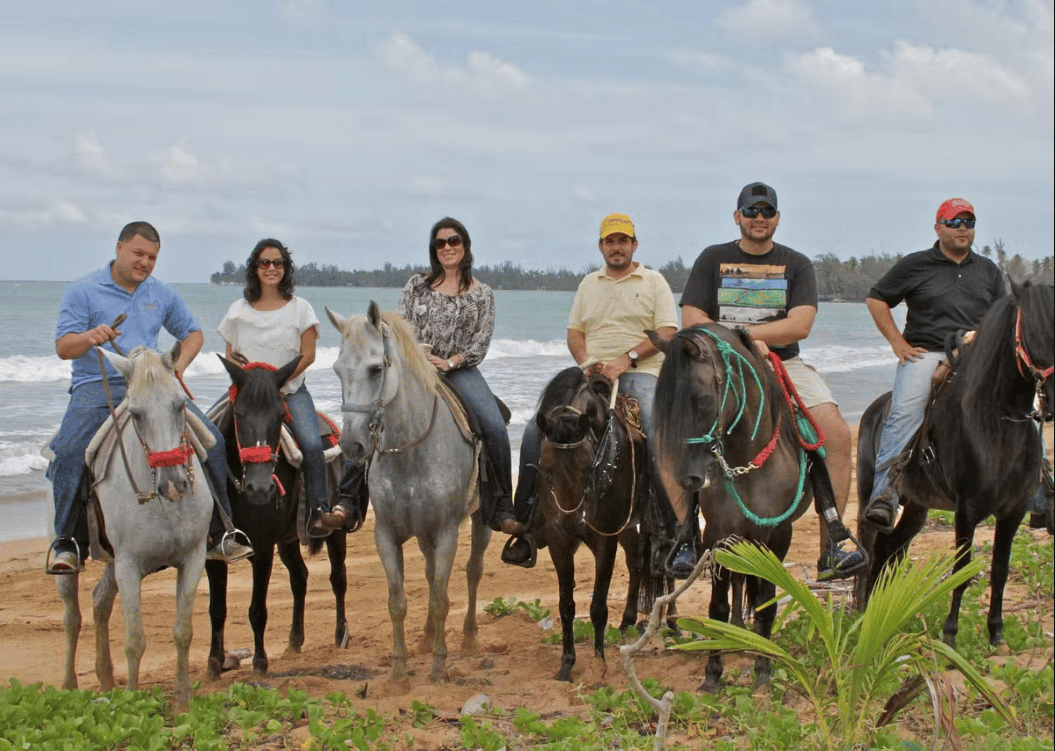 Carabalí Rainforest Park: Beach Horseback Riding | GetYourGuide