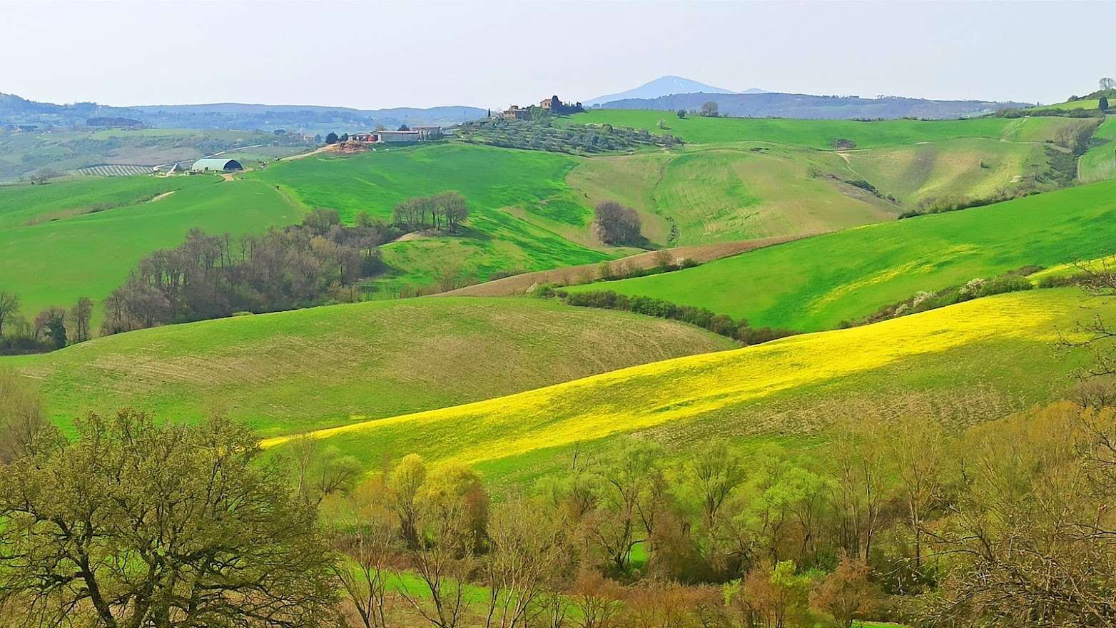 From Florence: Val d'Orcia Region Private Wine Tasting Tour | GetYourGuide