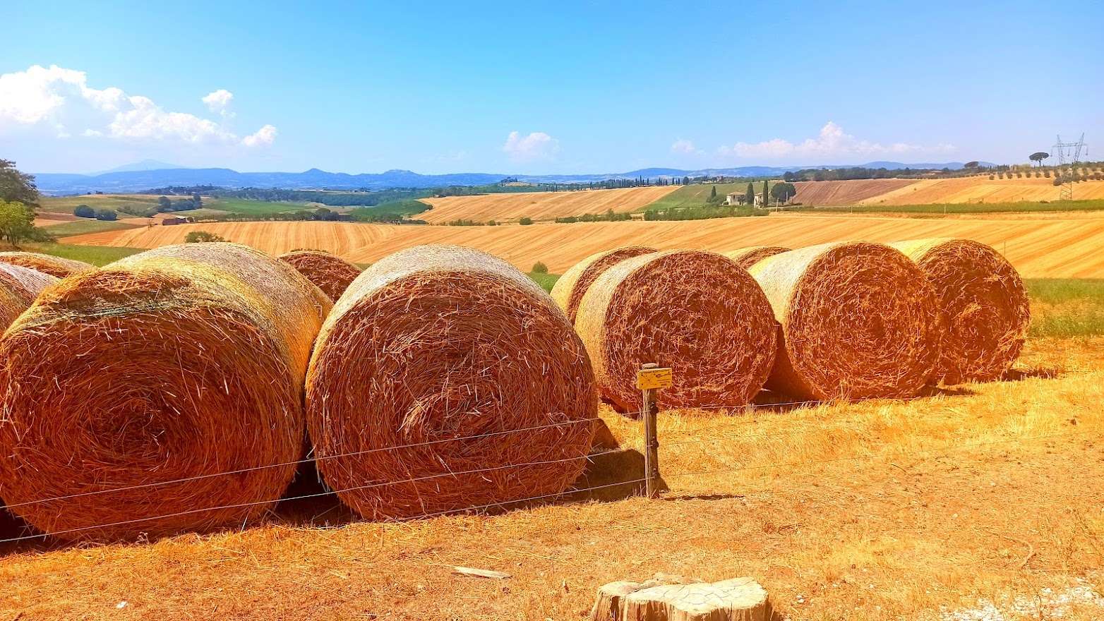 From Florence: Val d'Orcia Region Private Wine Tasting Tour | GetYourGuide