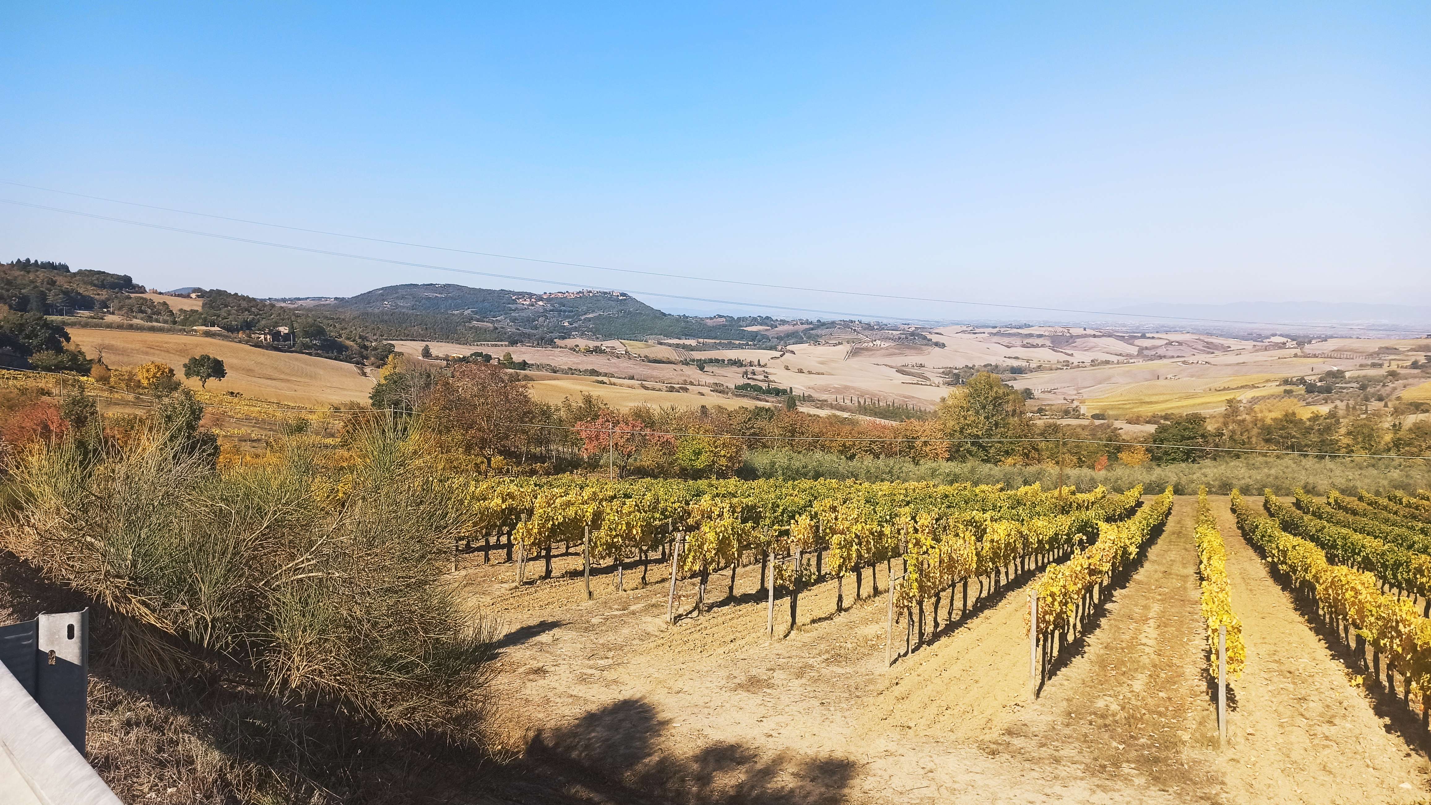 From Florence: Val d'Orcia Region Private Wine Tasting Tour | GetYourGuide
