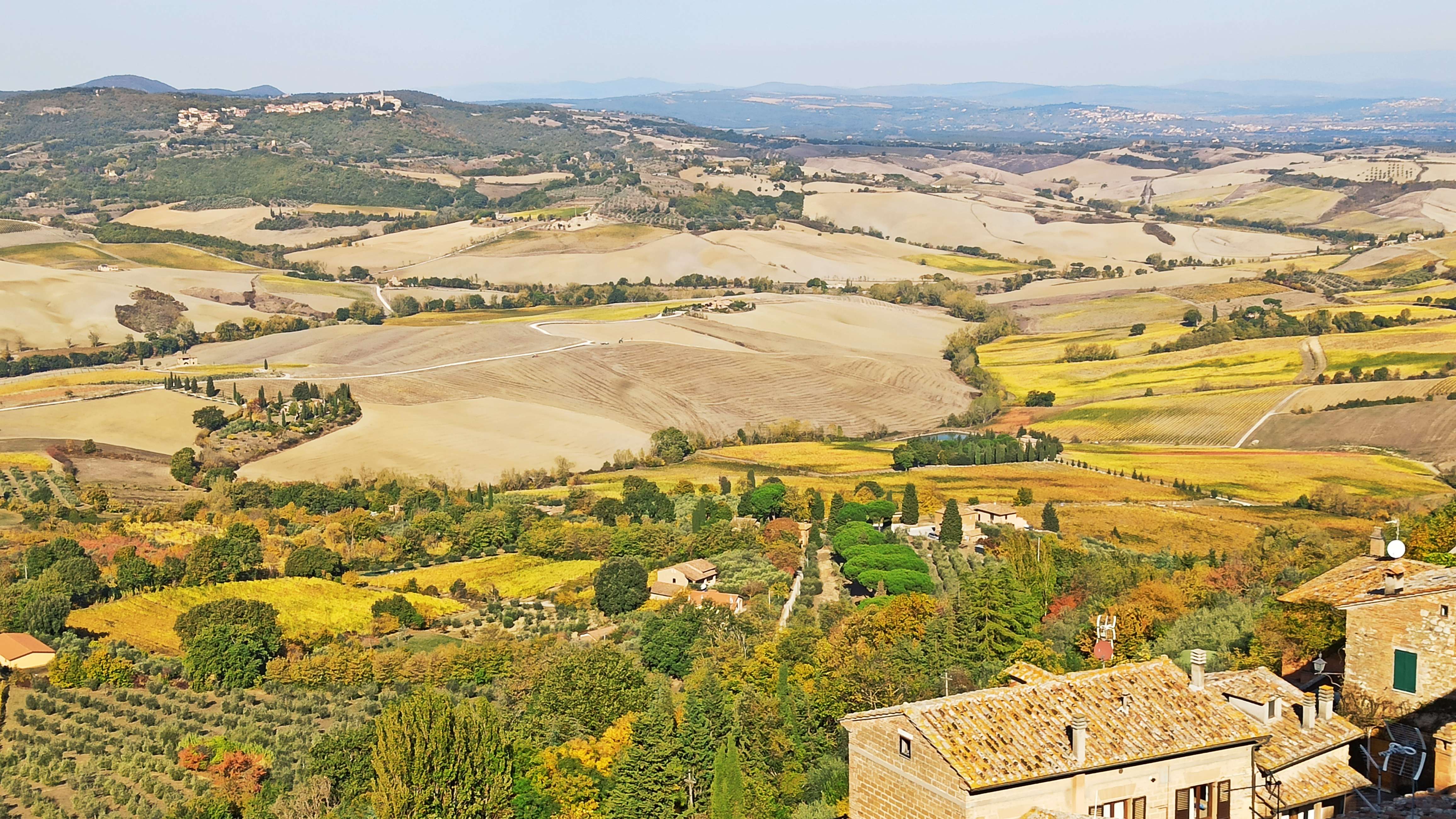 From Florence: Val d'Orcia Region Private Wine Tasting Tour | GetYourGuide