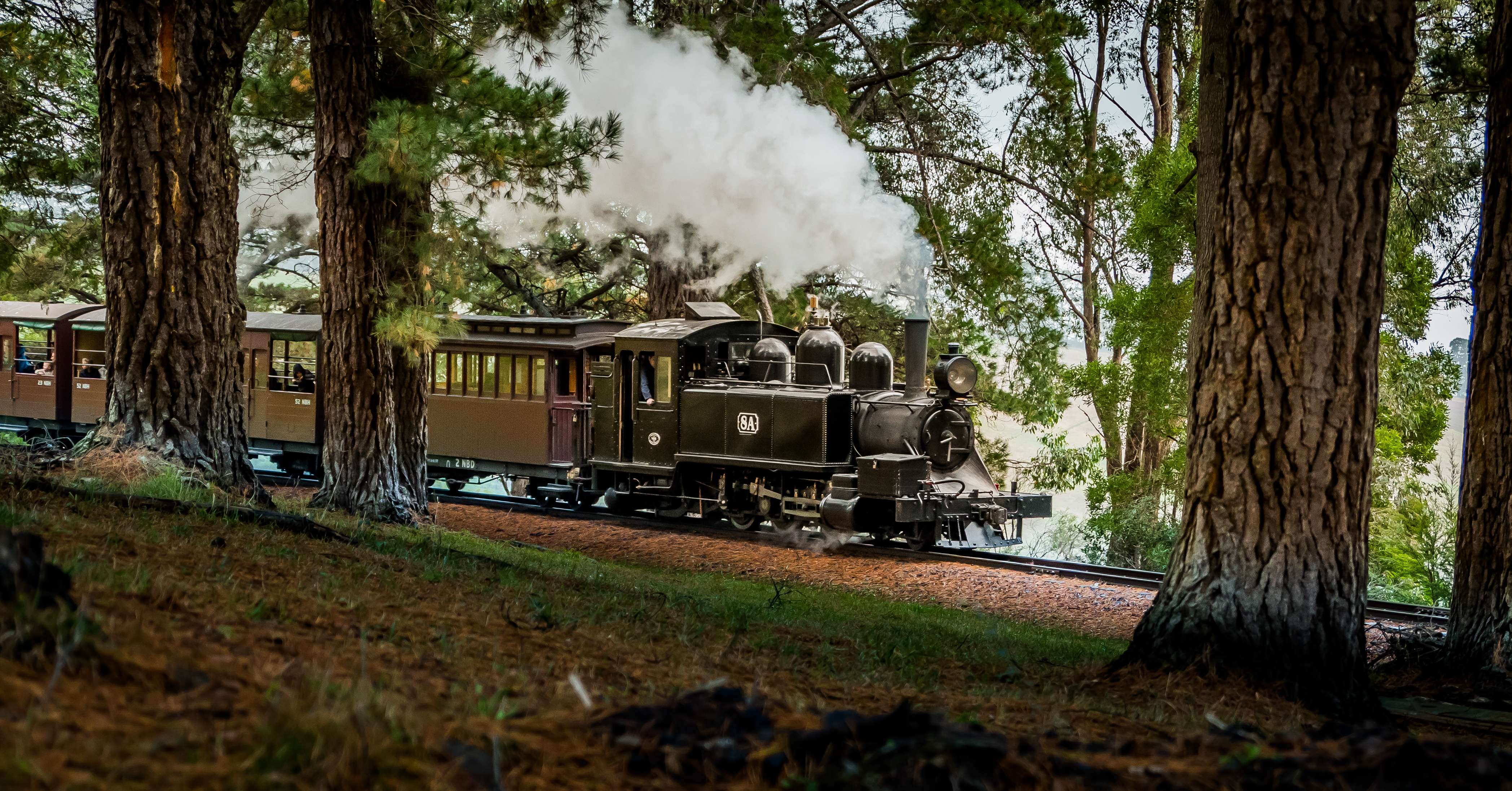 Puffing Billy Railway: Heritage Steam Train Journey | GetYourGuide