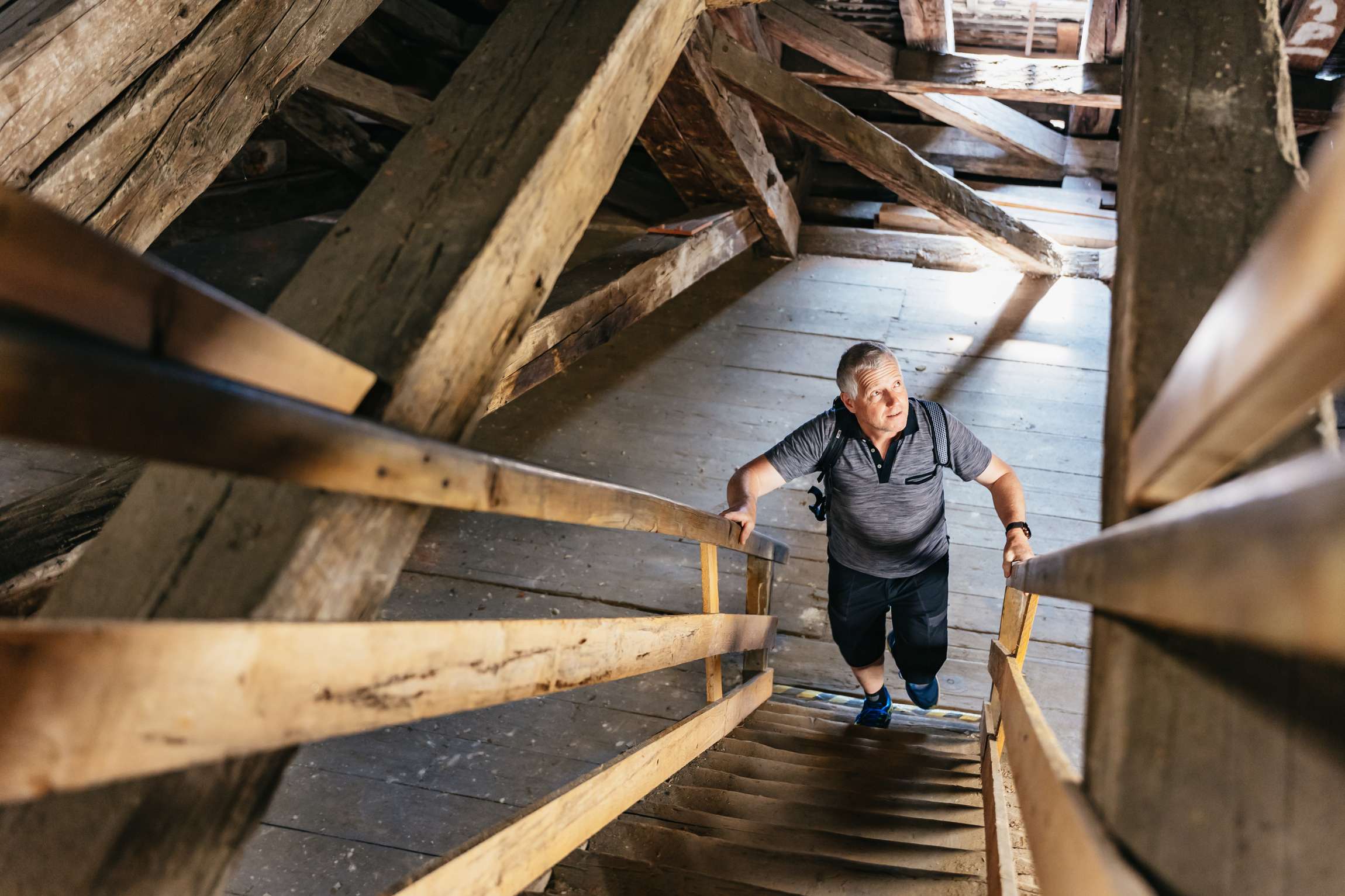 Vienna: Spanish Riding School Stables Guided Tour | GetYourGuide