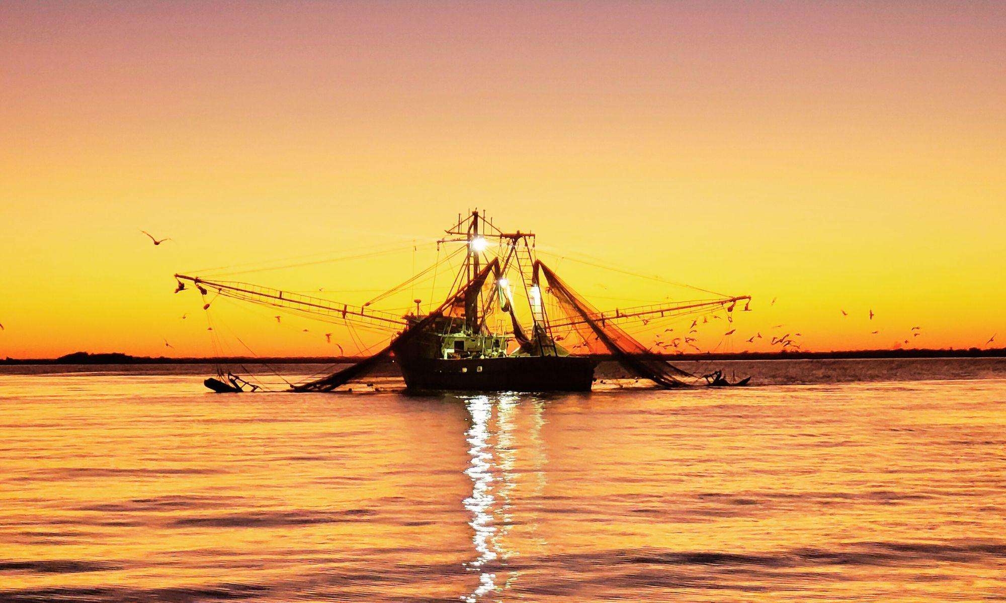Tybee Island: Tiki Boat Sightseeing Cruise | GetYourGuide