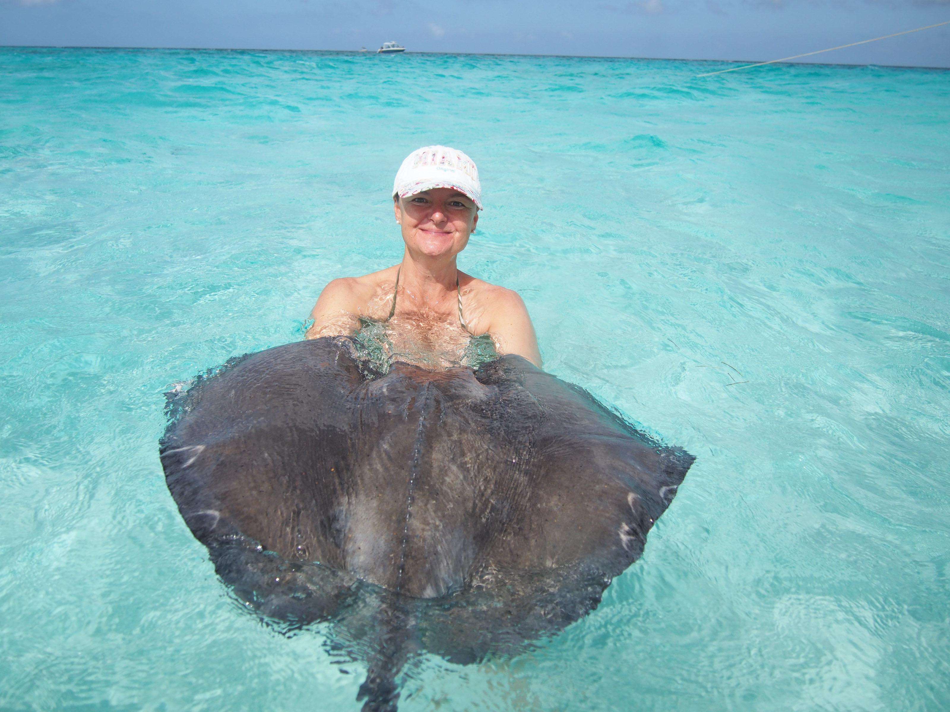 Grand Cayman: Catamaran Cruise with Stingray City & Snorkel | GetYourGuide