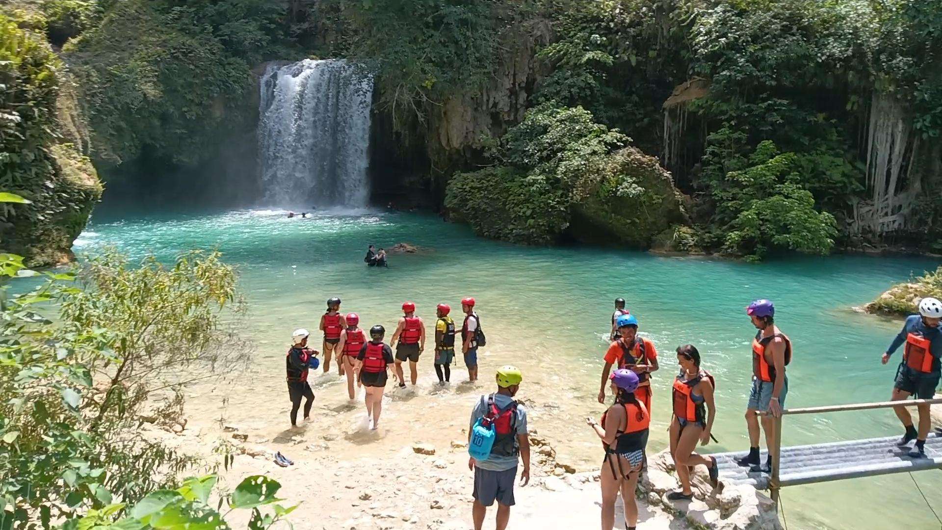 Cebu: Whale Shark Swim and Kawasan Canyoneering Tour | GetYourGuide