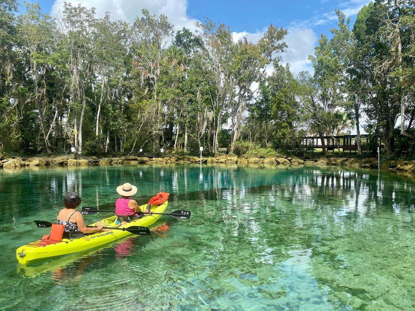 Crystal River: Kayak Rental | GetYourGuide