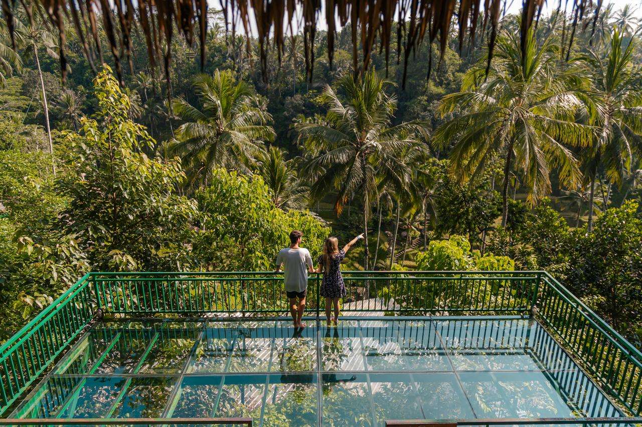 Ubud: Alas Harum Day-Pass, Swing, Sky Bike & Flying Fox | GetYourGuide
