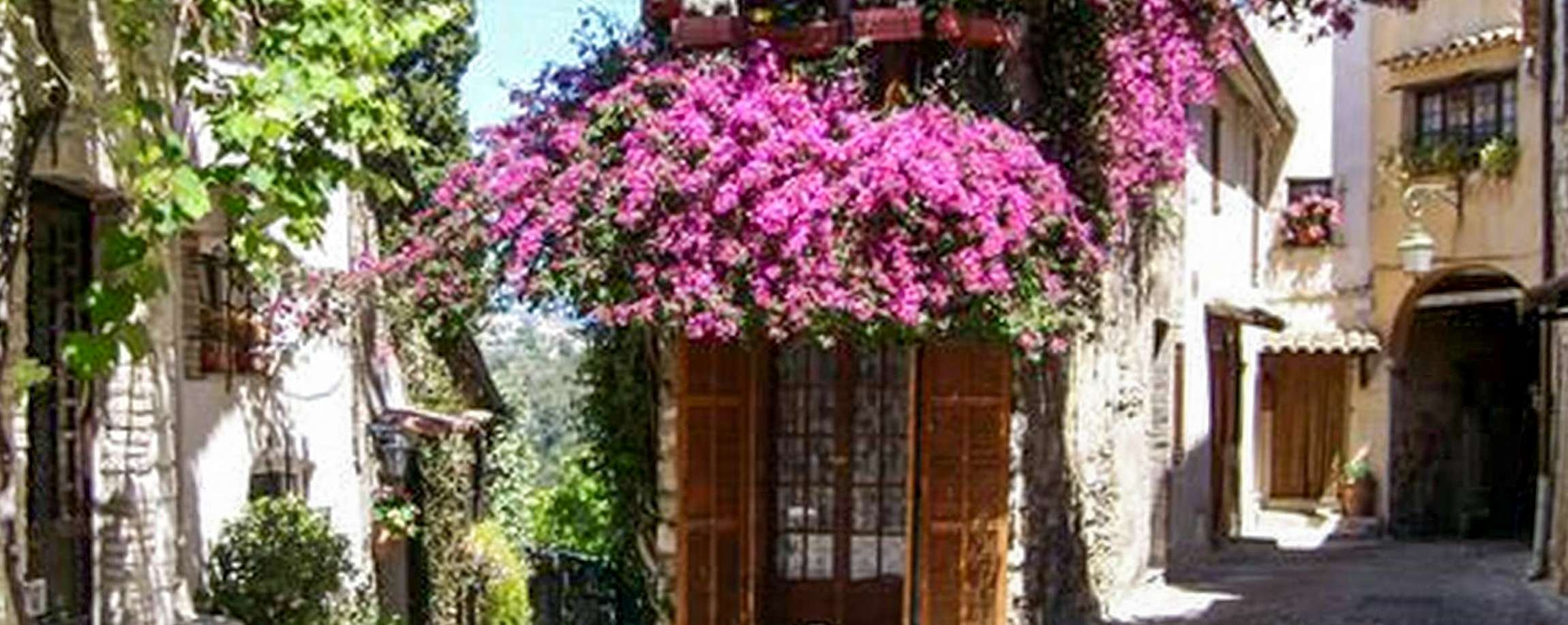 Nice: Countryside Tour with Grasse | GetYourGuide