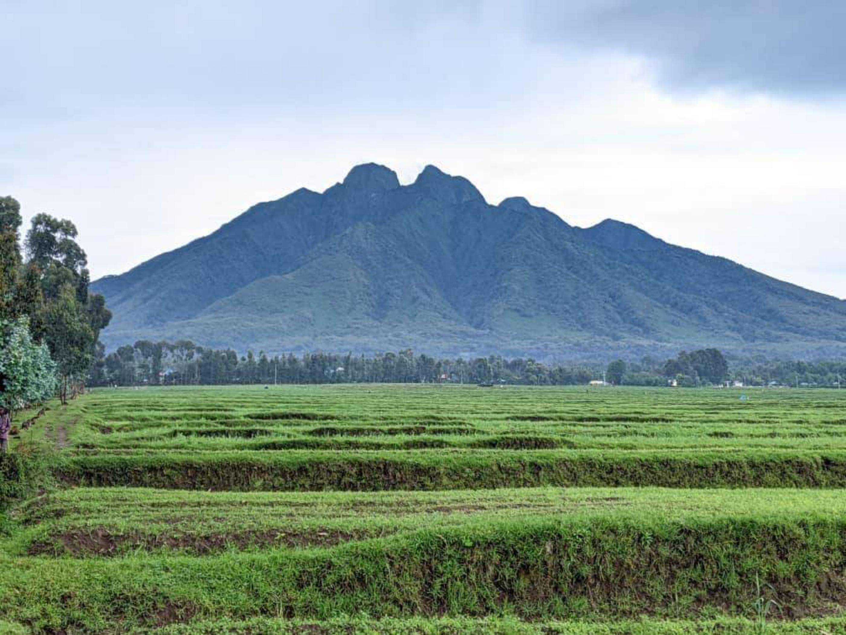 Excursión al Monte Bisoke en el Parque Nacional de los Volcanes ...