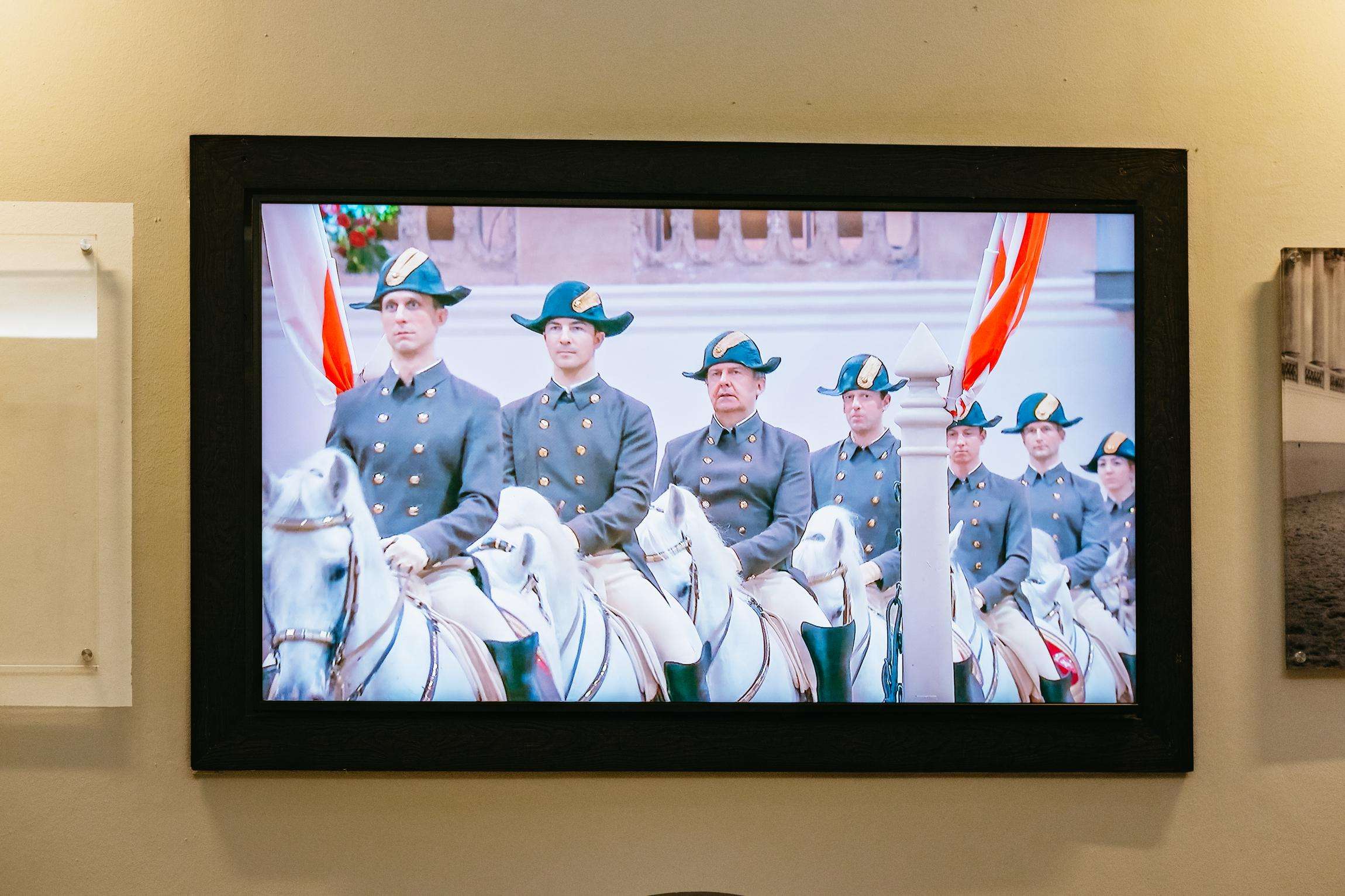 Vienna: Spanish Riding School Stables Guided Tour | GetYourGuide