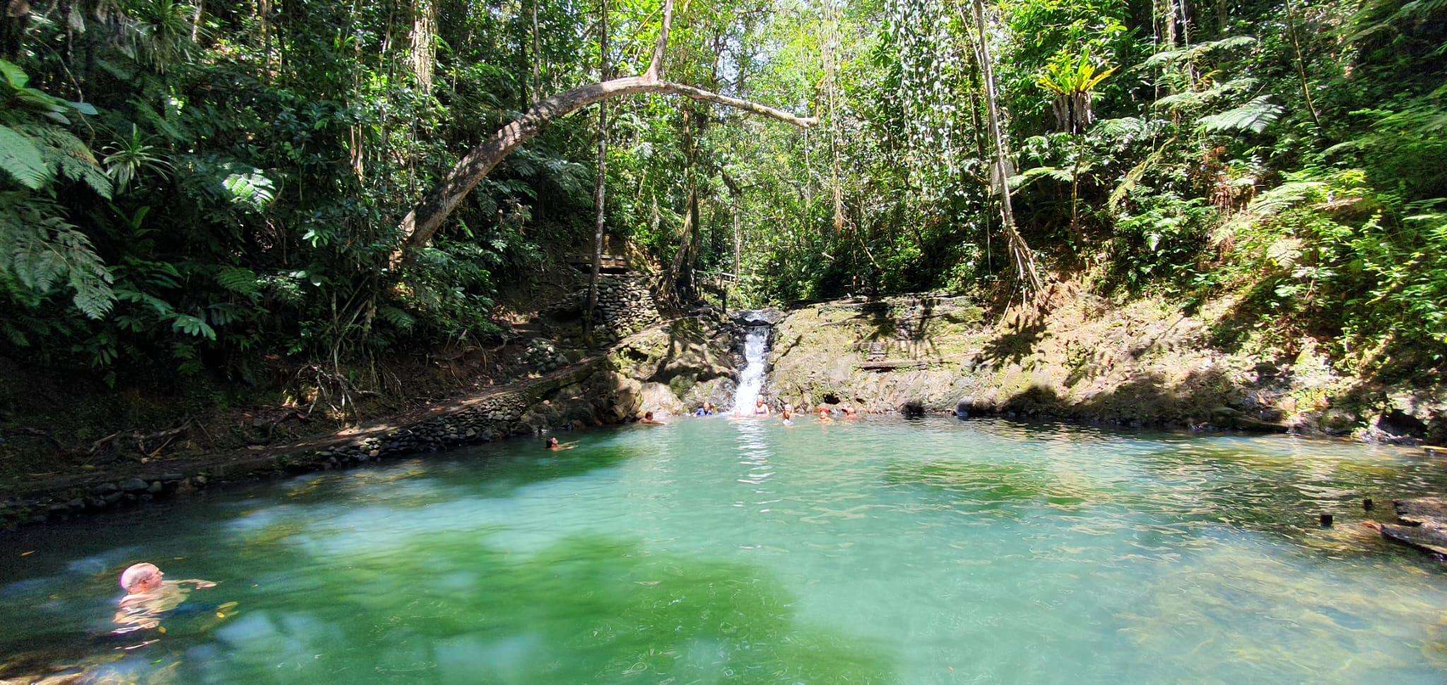 Suva: Fijian Nature and Waterfall Tour | GetYourGuide