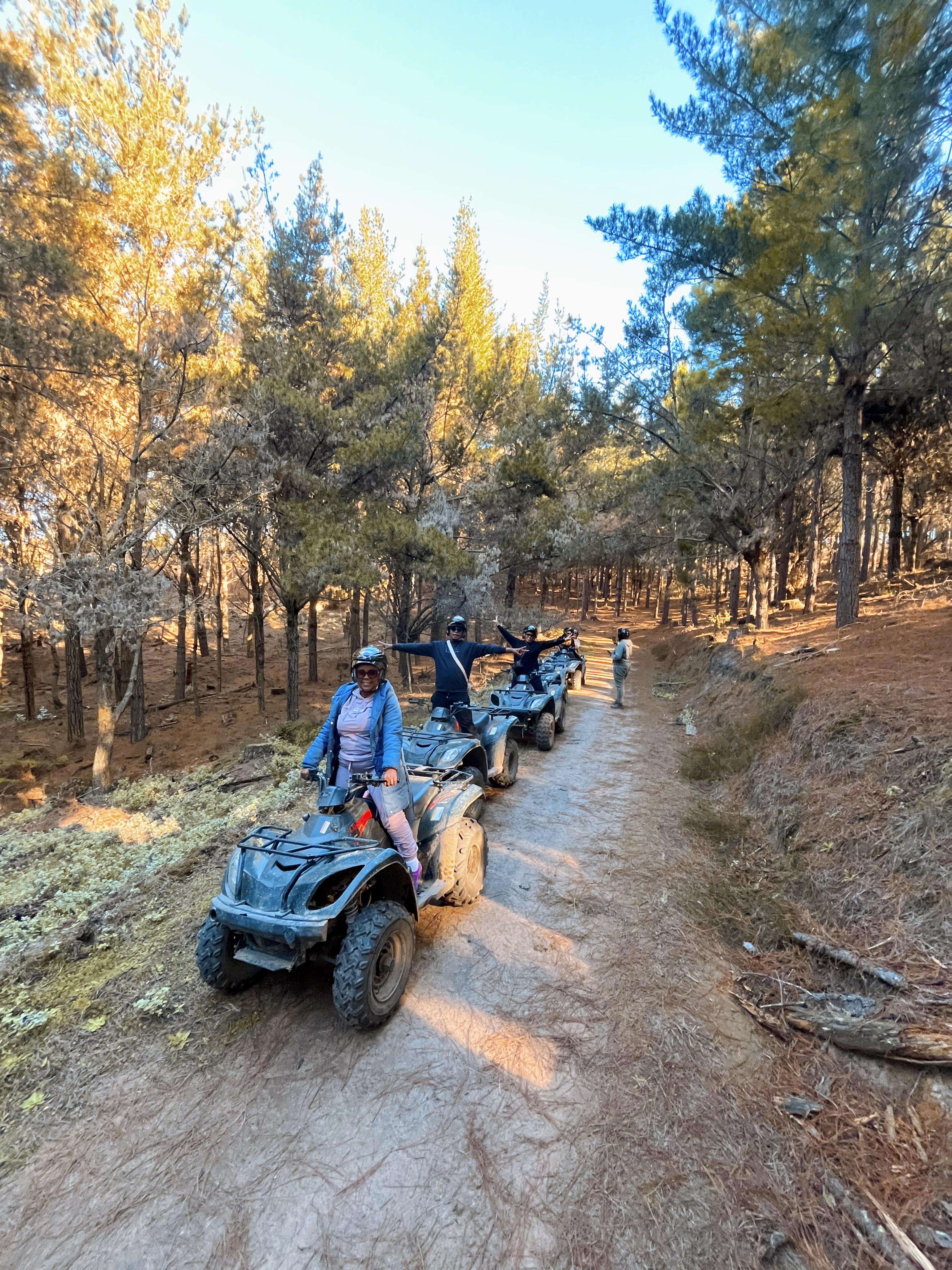 Knysna: Guided Quad Bike Tour in the Forest | GetYourGuide