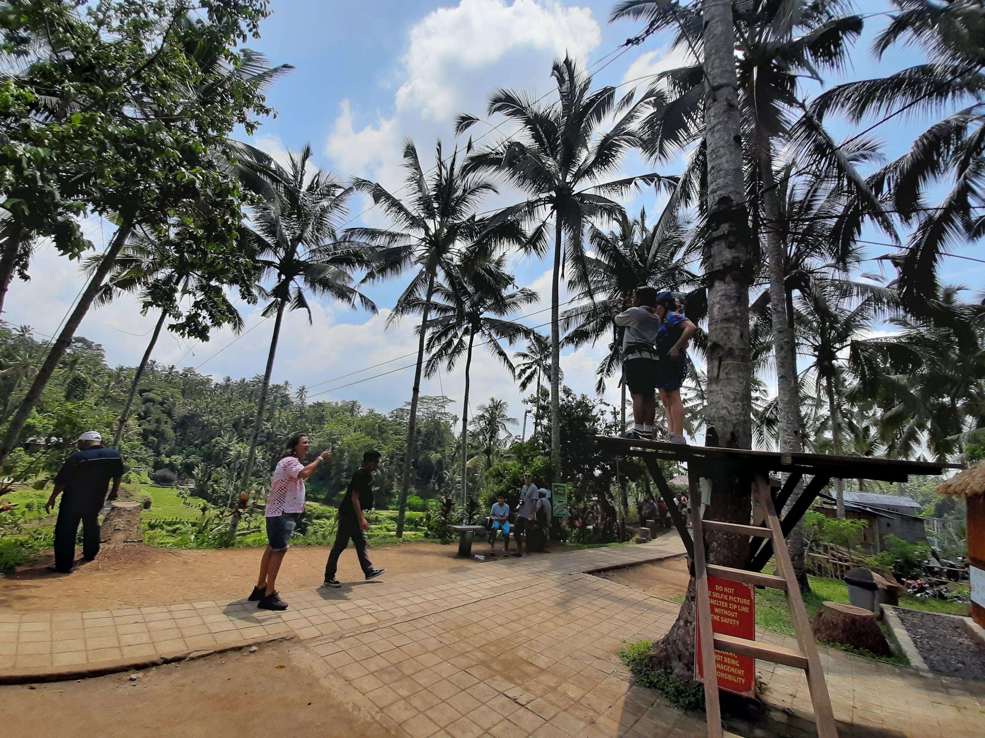 Ubud: apskog, risterrasser och vattenfall | GetYourGuide