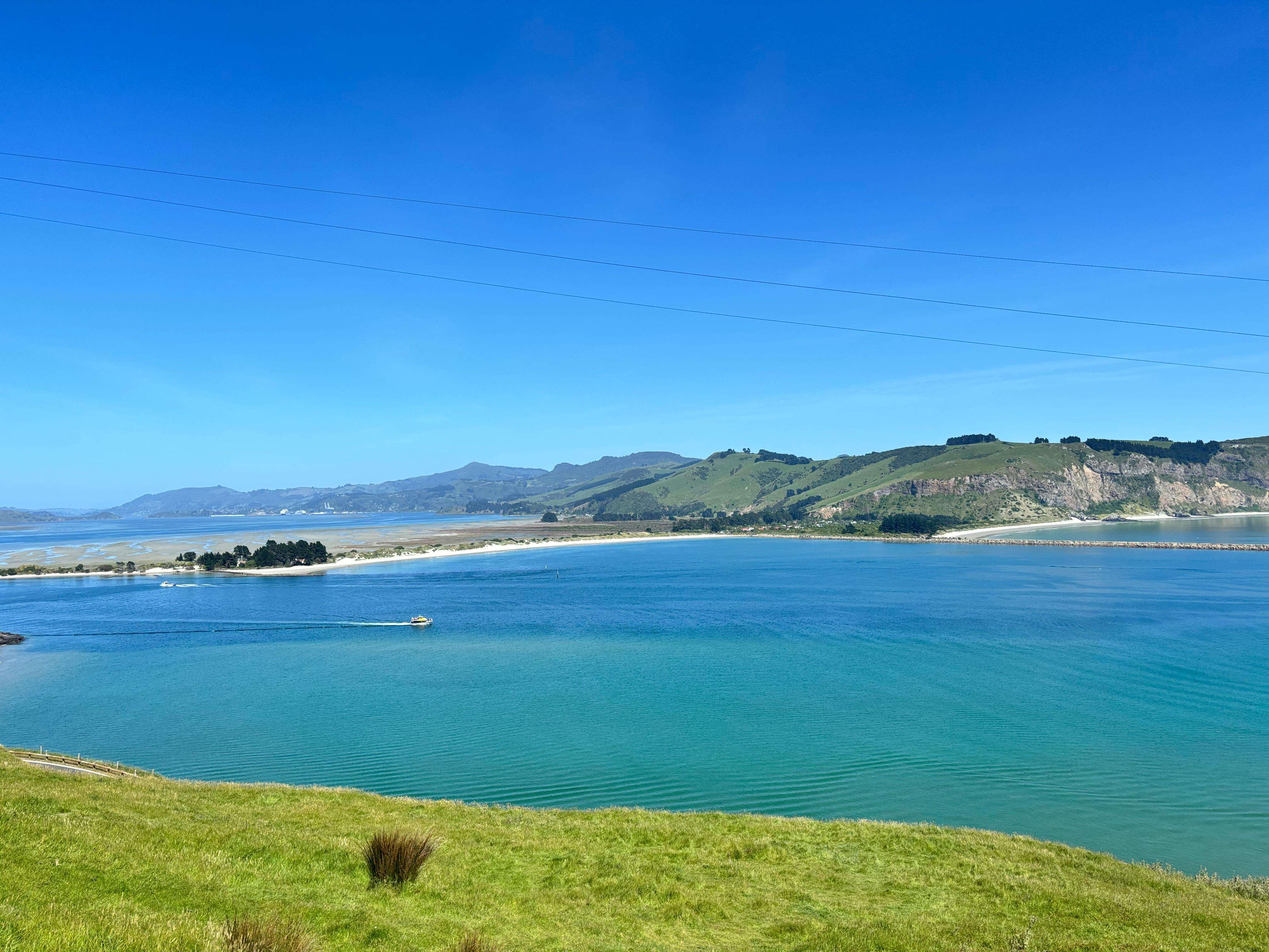 Dunedin City & Otago Peninsula Scenery Day Tour | GetYourGuide
