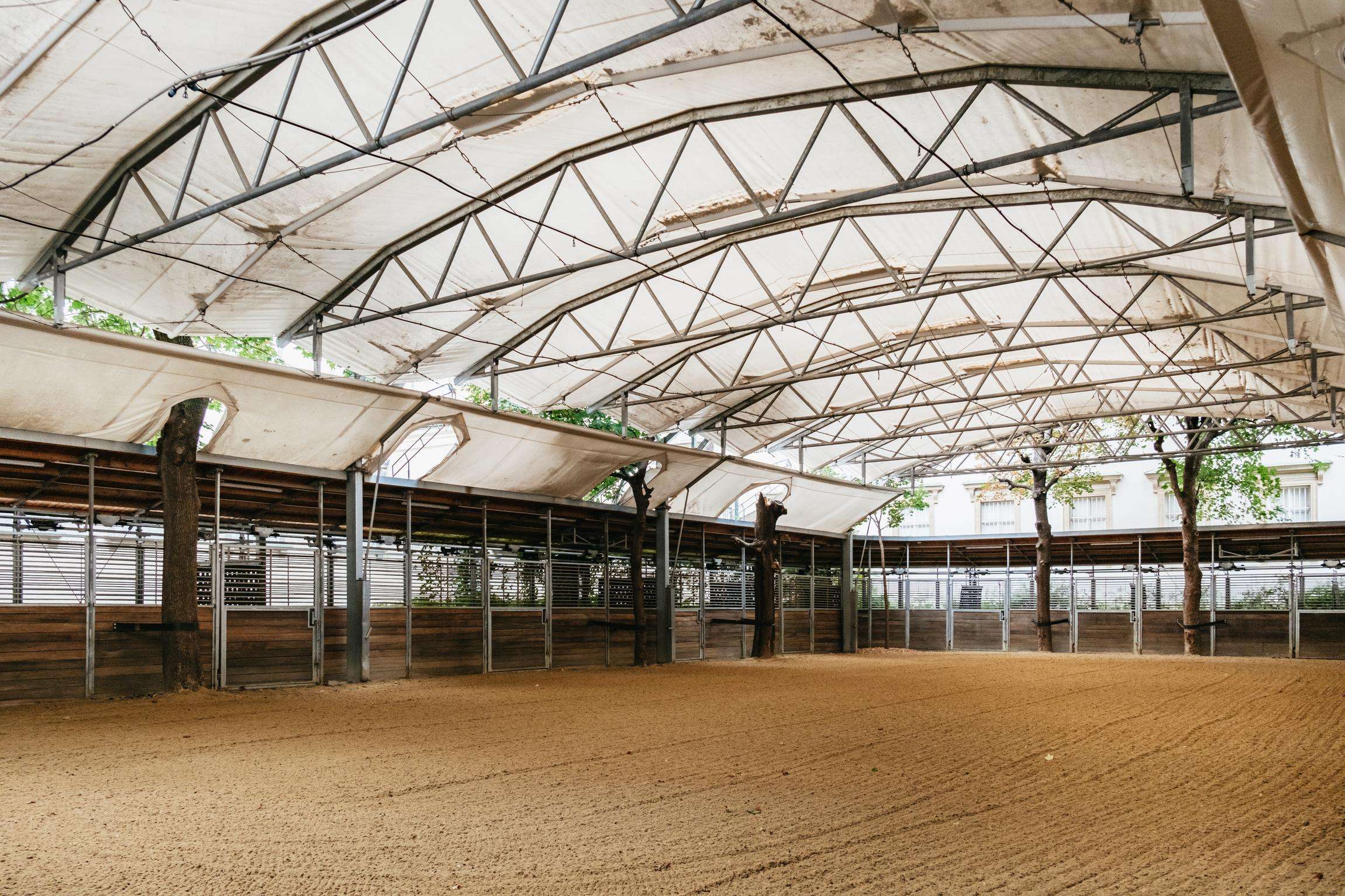 Vienna: Spanish Riding School Stables Guided Tour | GetYourGuide