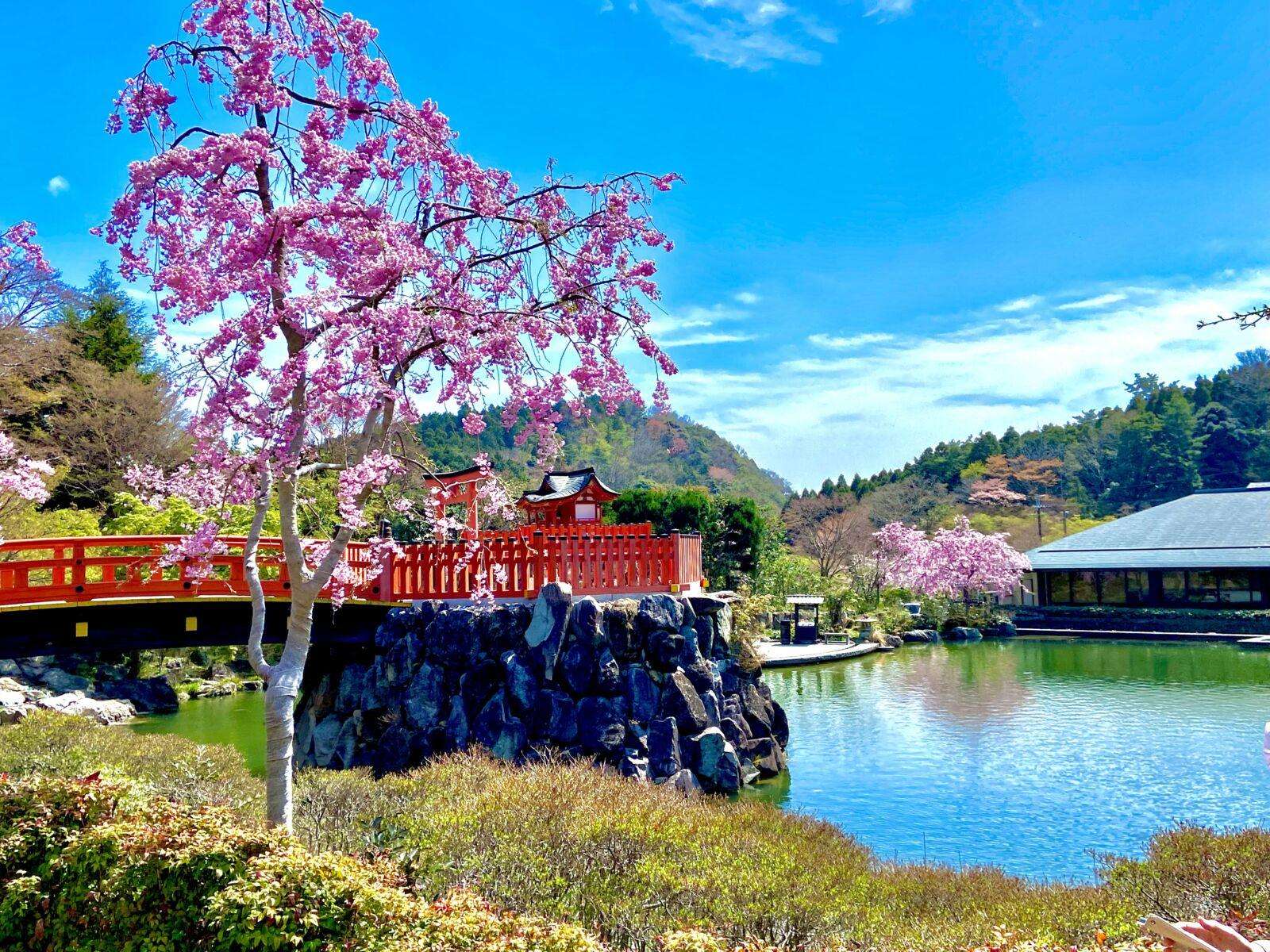 Osaka: Minoh, Katsuoji Temple, & Minoh Falls Full-day Tour | GetYourGuide