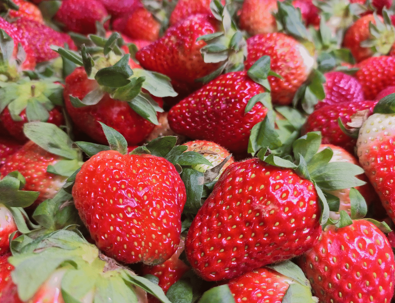 Manila: 3-Day Sagada, Baguio, & Banaue Rice Terraces Tour | GetYourGuide