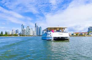 Gold Coast: Hopo Ferry & Sea World Entry Combo Ticket | GetYourGuide