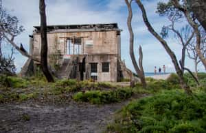 Fra Brisbane: Dagstur til Bribie Island og tur i firehjulstrækker | GetYourGuide