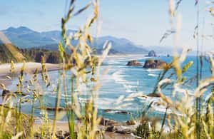 From Portland: Oregon Coast Tour | GetYourGuide