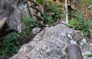 Cape Town: Skeleton Gorge Hike to Table Mountain Summit | GetYourGuide