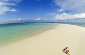 Zanzibar: Masingini Forest Zip Line and Kama Beach Tour | GetYourGuide